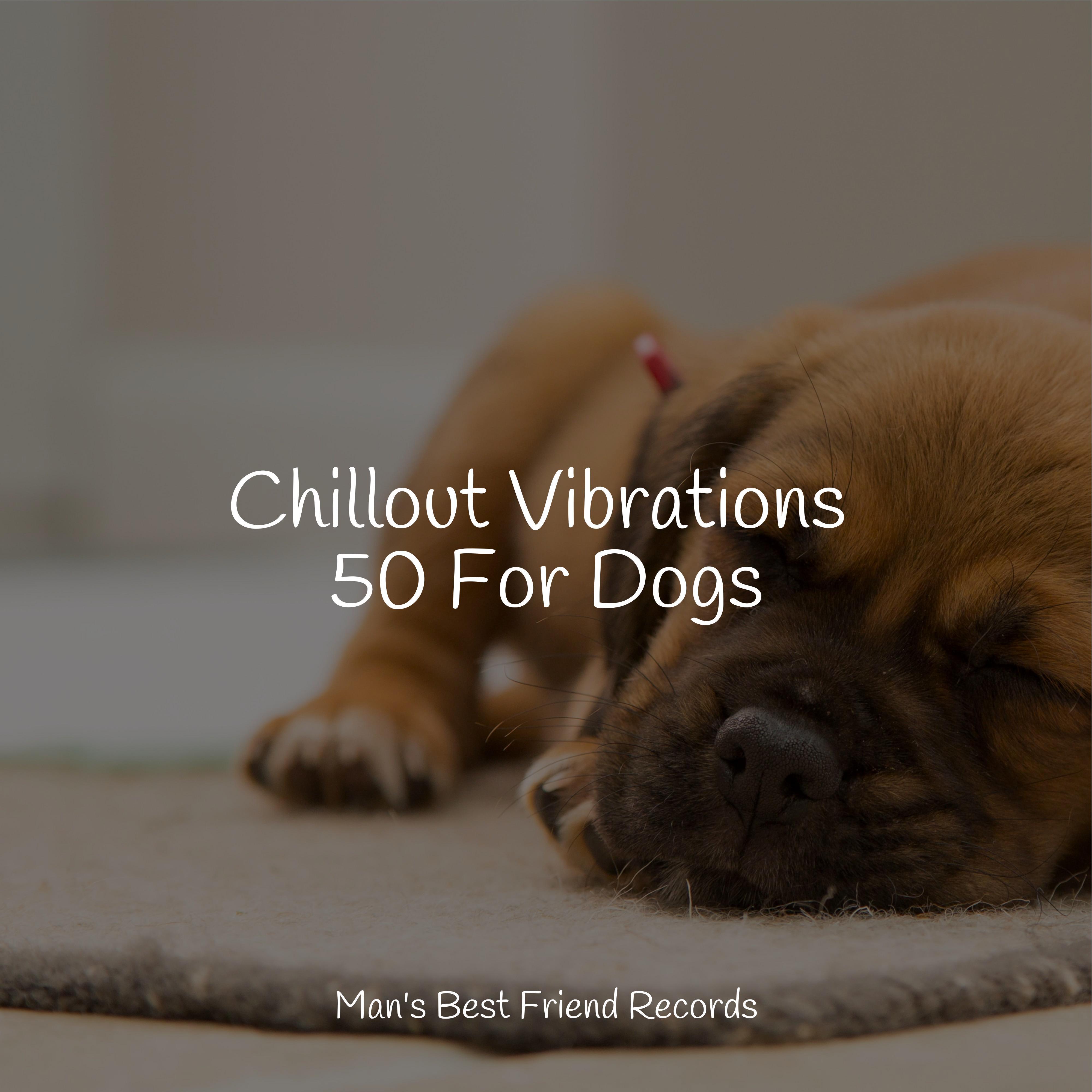 Chillout Vibrations 50 For Dogs - Sleep Music For Dogs - 专辑 - 网易云音乐