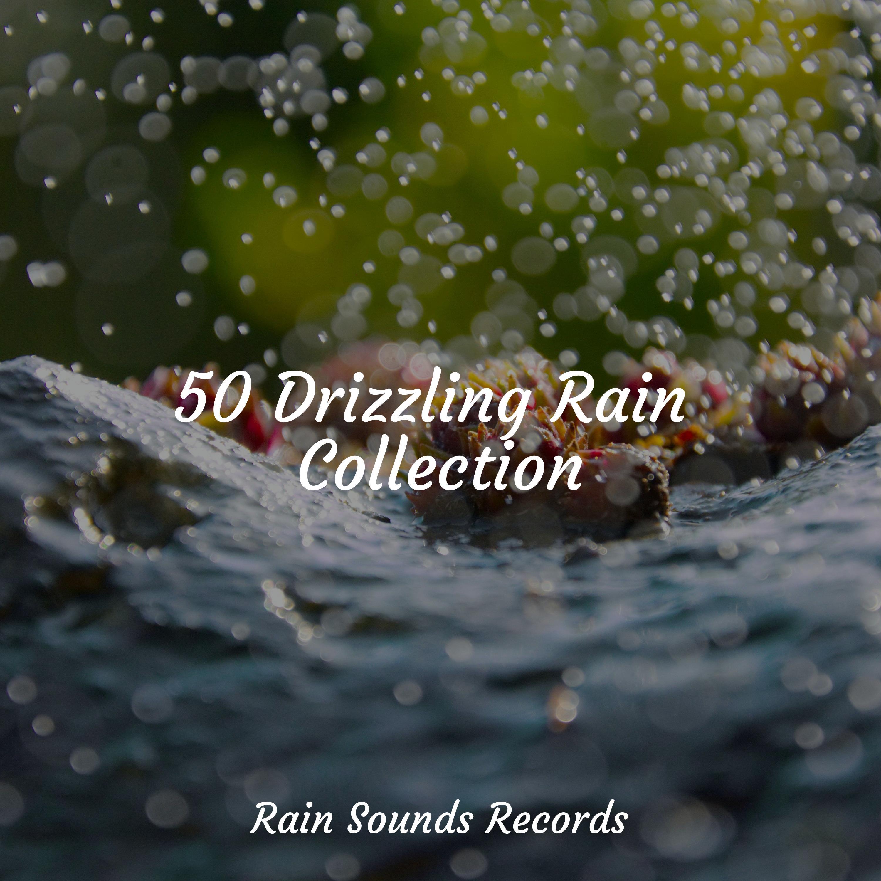 50 Drizzling Rain Collection - Nature Sounds Nature Music - 专辑 - 网易云音乐