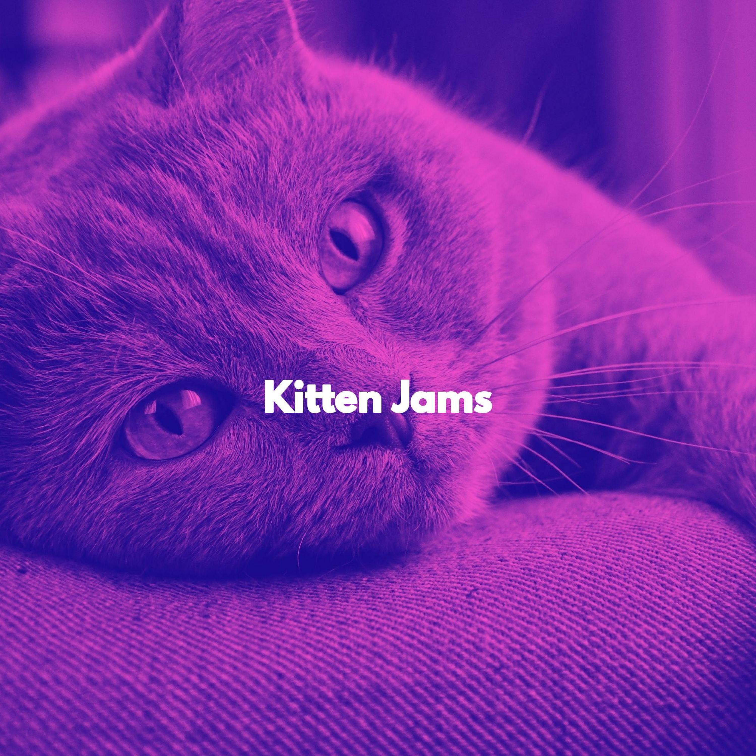 Tasteful Ambience For Quiet Cat Cats Music Den tasteful-ambience-for-quiet-cat-cats-music-den