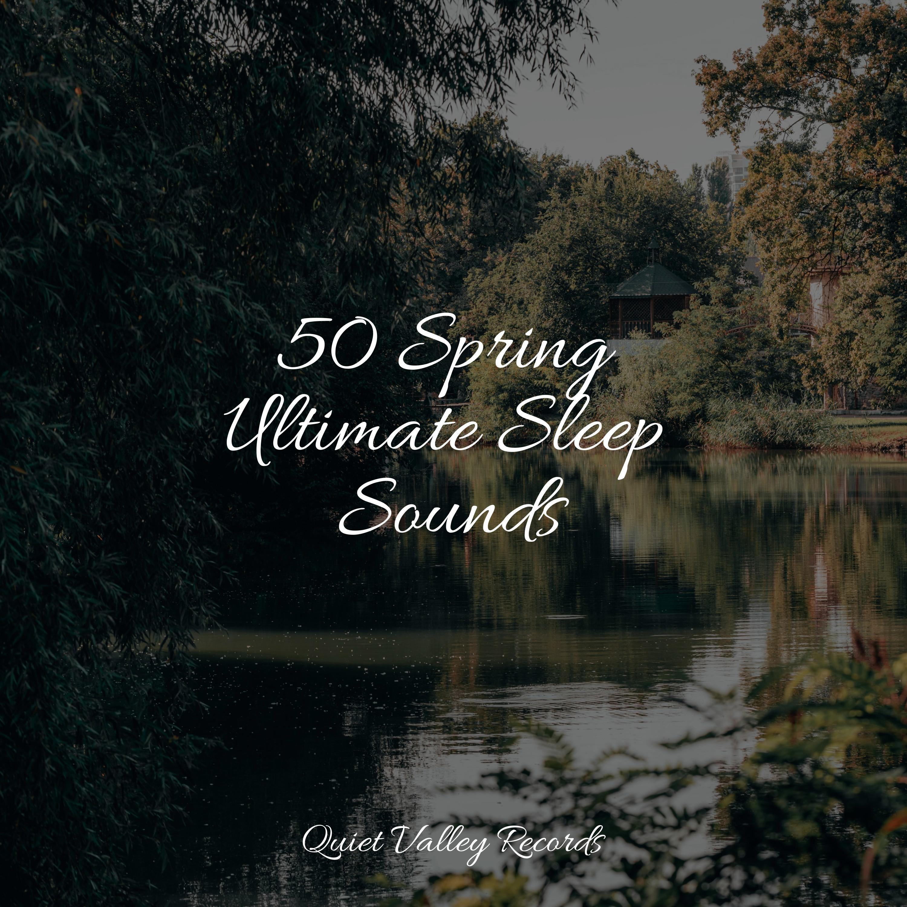 50 Spring Ultimate Sleep Sounds - Bath Spa Relaxing Music Zone - 专辑 - 网易云音乐