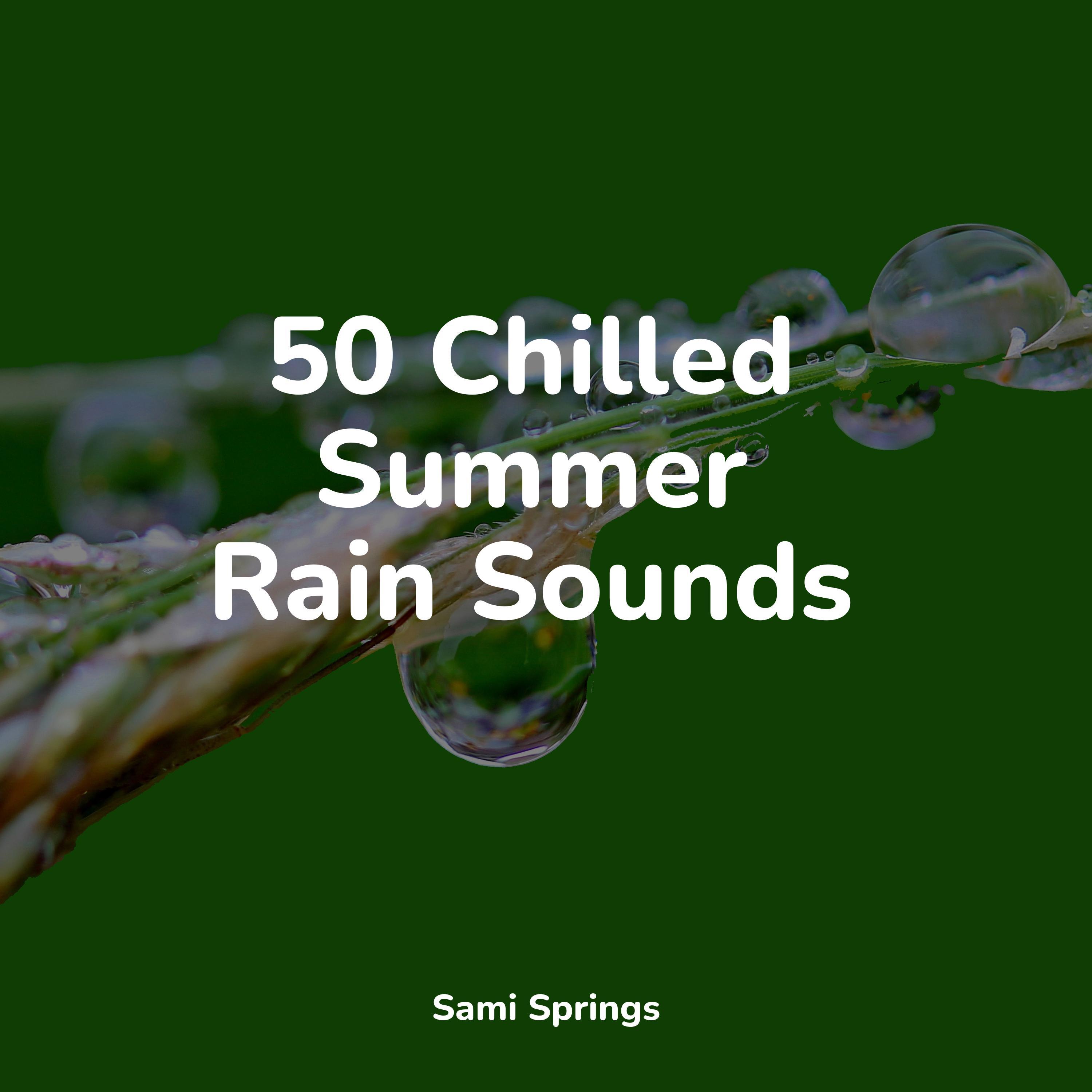 River Close Birds Forest Sounds Of Nature Yoga Rain Academia De
