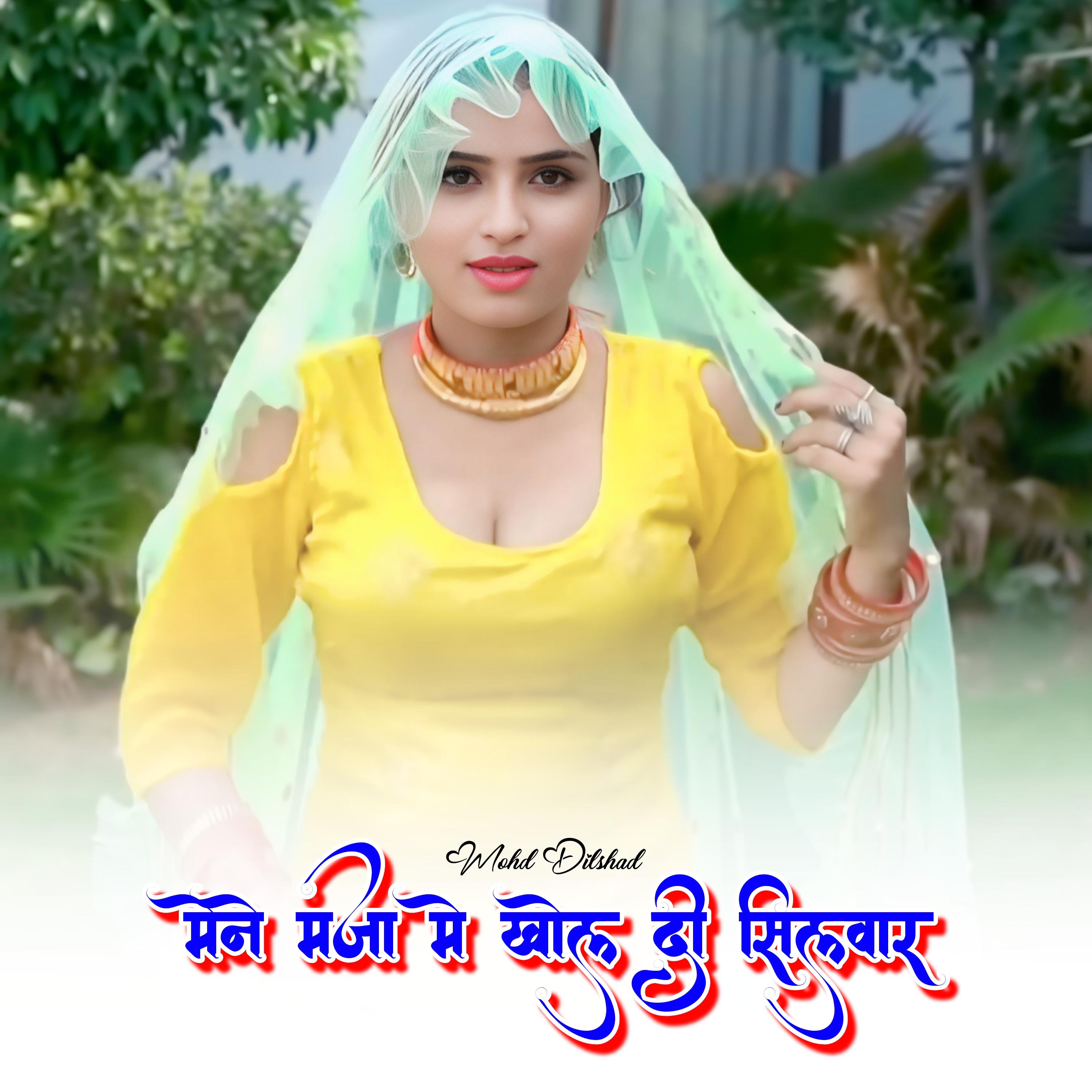 मेने मजा मे खोल दी सिलवार - Mohd Dilshad/Asmeena Mewati/Sahin Khan/Javed Akhtar Alwar - 单曲 - 网易云音乐