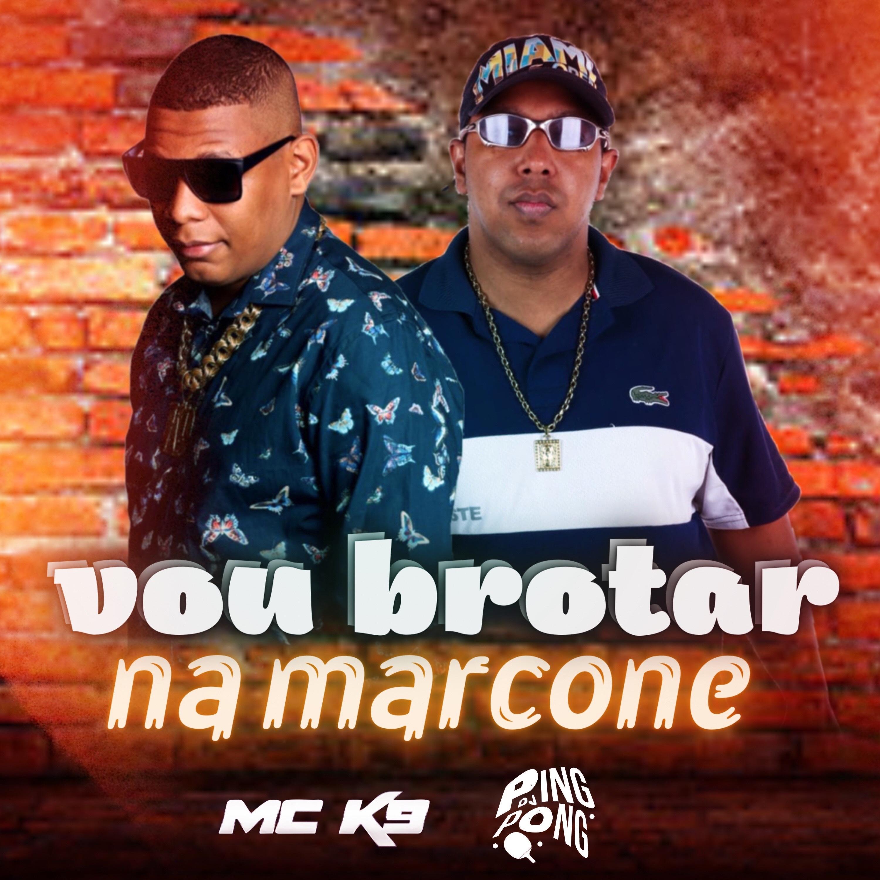 Vou Brotar na Marcone - MC K9/DJ Ping Pong - 单曲 - 网易云音乐