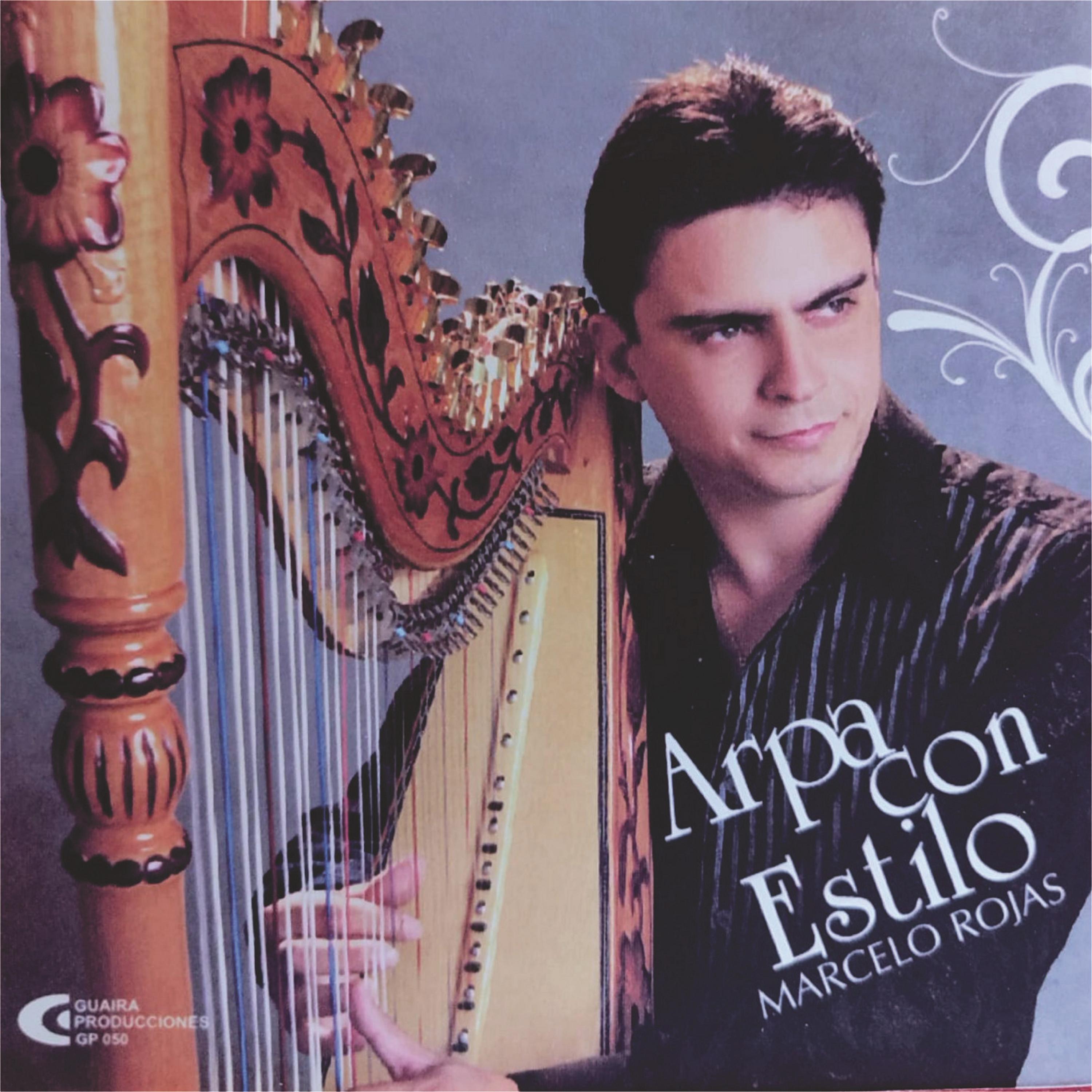 Melodías para Tí - Marcelo Rojas - 单曲 - 网易云音乐