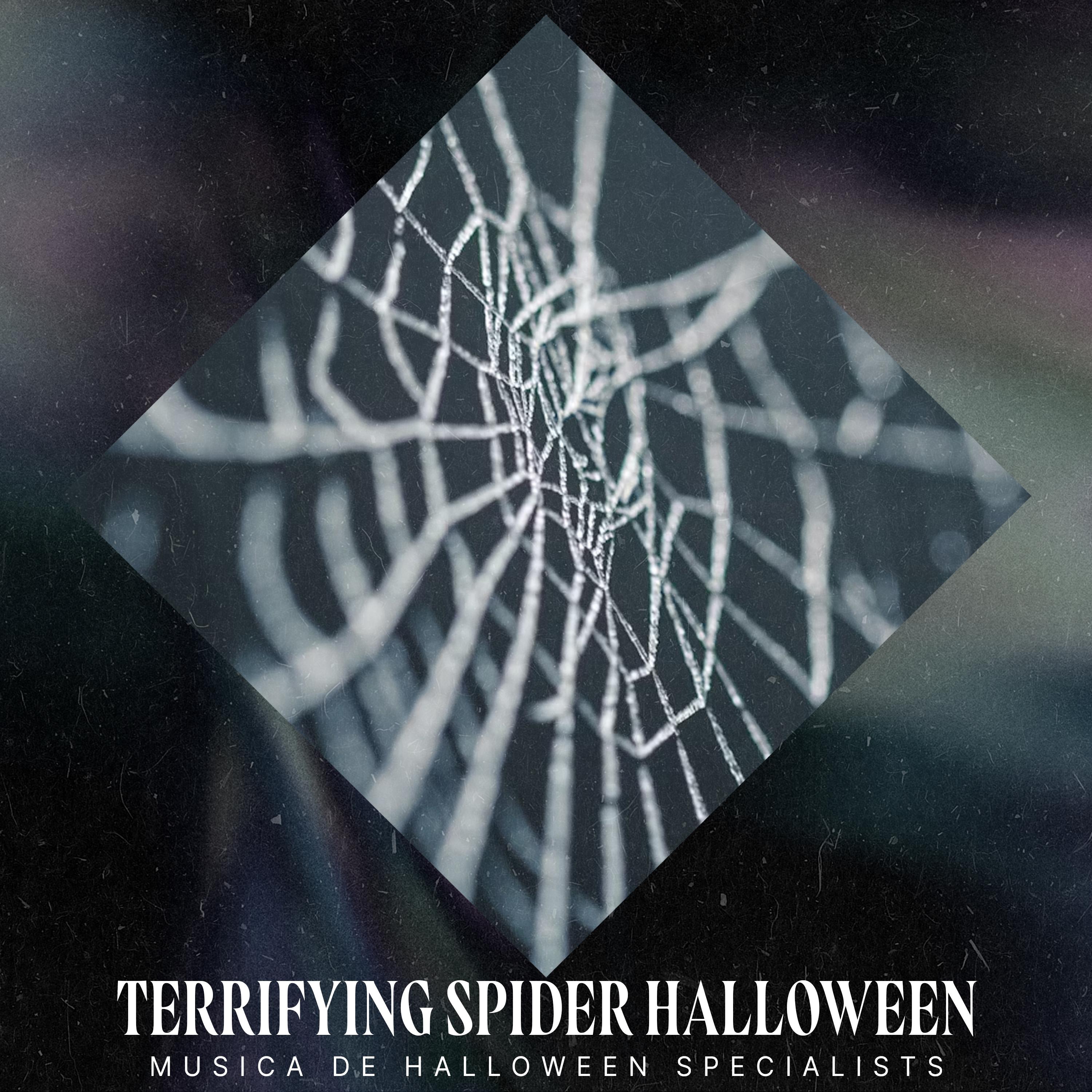 Terrifying Spider Halloween - Musica de Halloween Specialists - 专辑 - 网易云音乐
