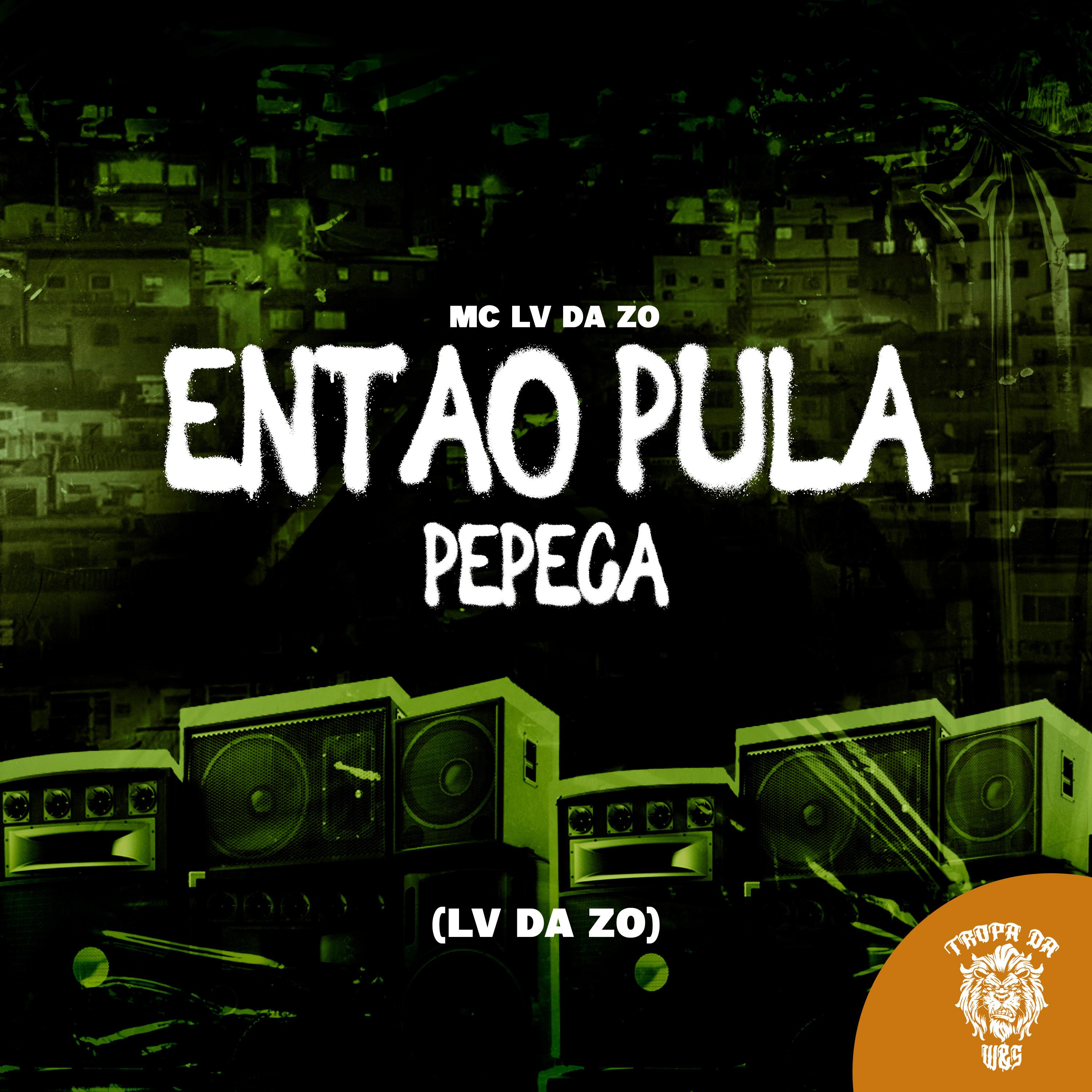 Então Pula Pepeca - Mc Lv Da Zo/DJ Paulo Mix/Tropa da W&S - 单曲 - 网易云音乐