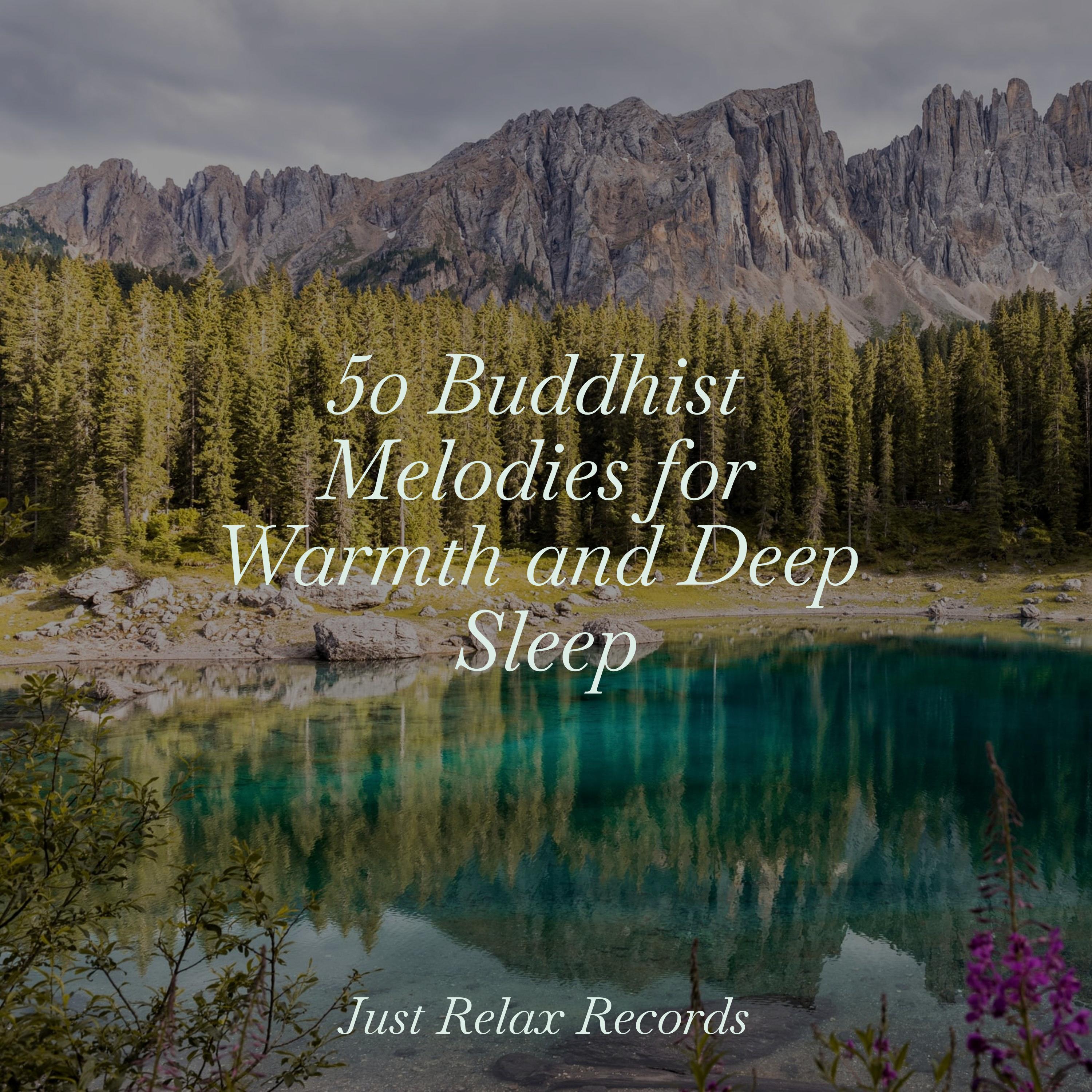 50 Buddhist Melodies For Warmth And Deep Sleep Deep Sleep Meditation