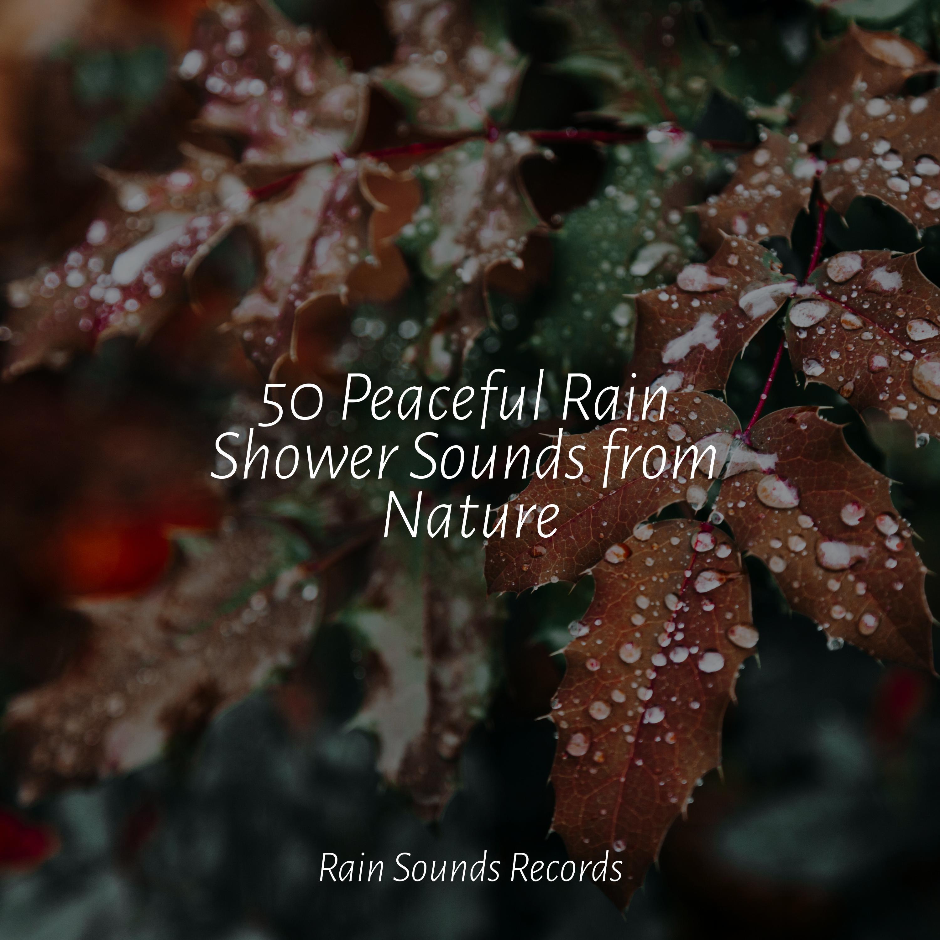 Rainstorm Rendezvous - Relaxing Mindfulness Meditation Relaxation ...