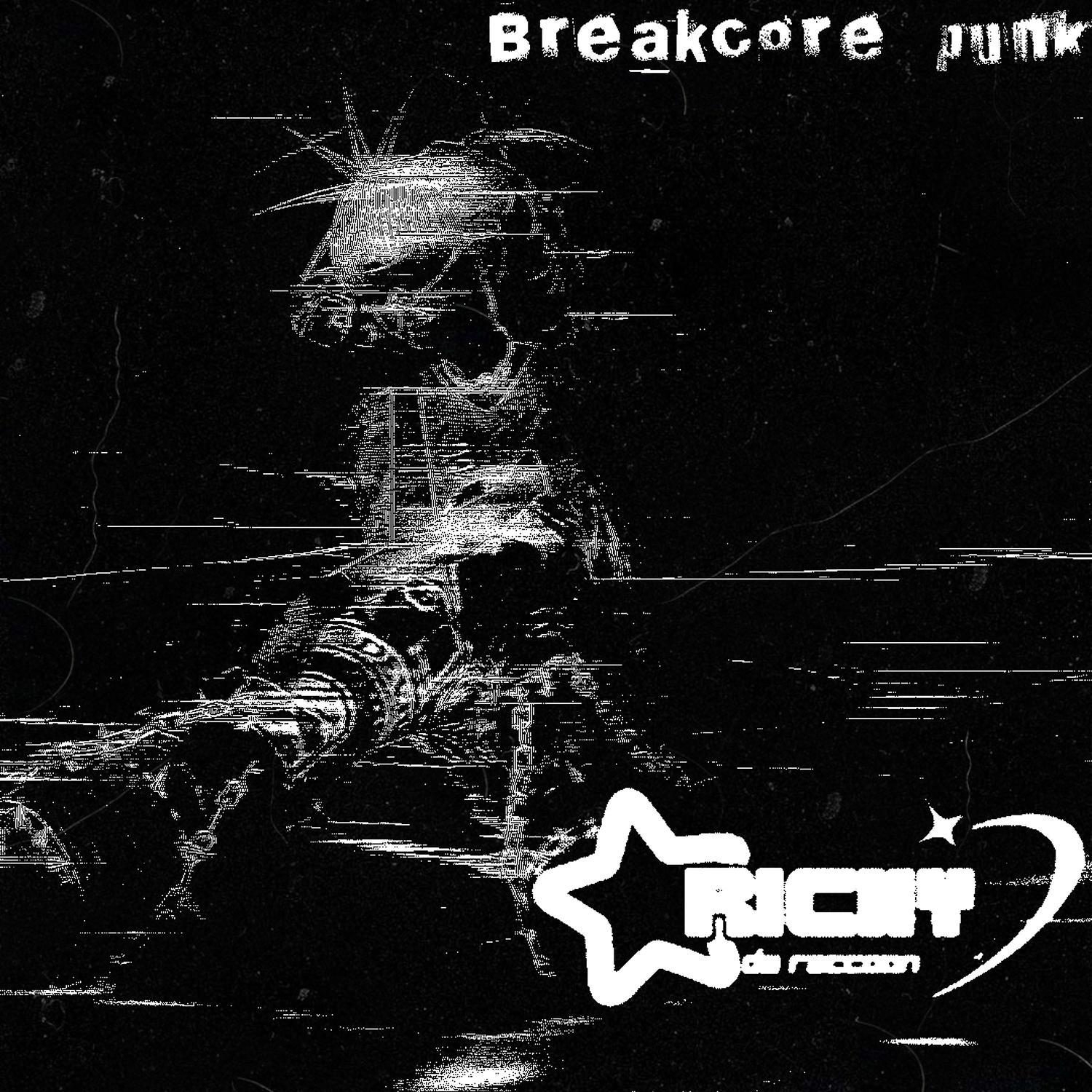Breakcore Punk - Richy Da Raccoon - 专辑 - 网易云音乐