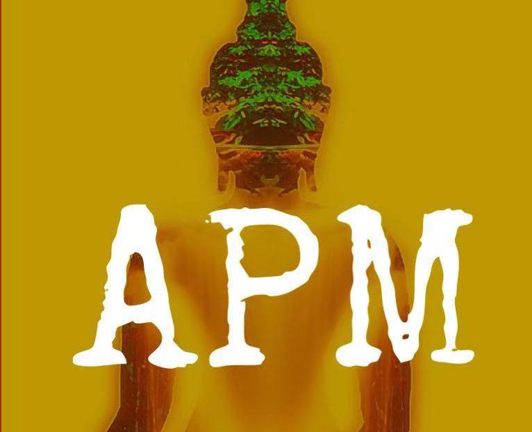 APM - 歌手 - 网易云音乐