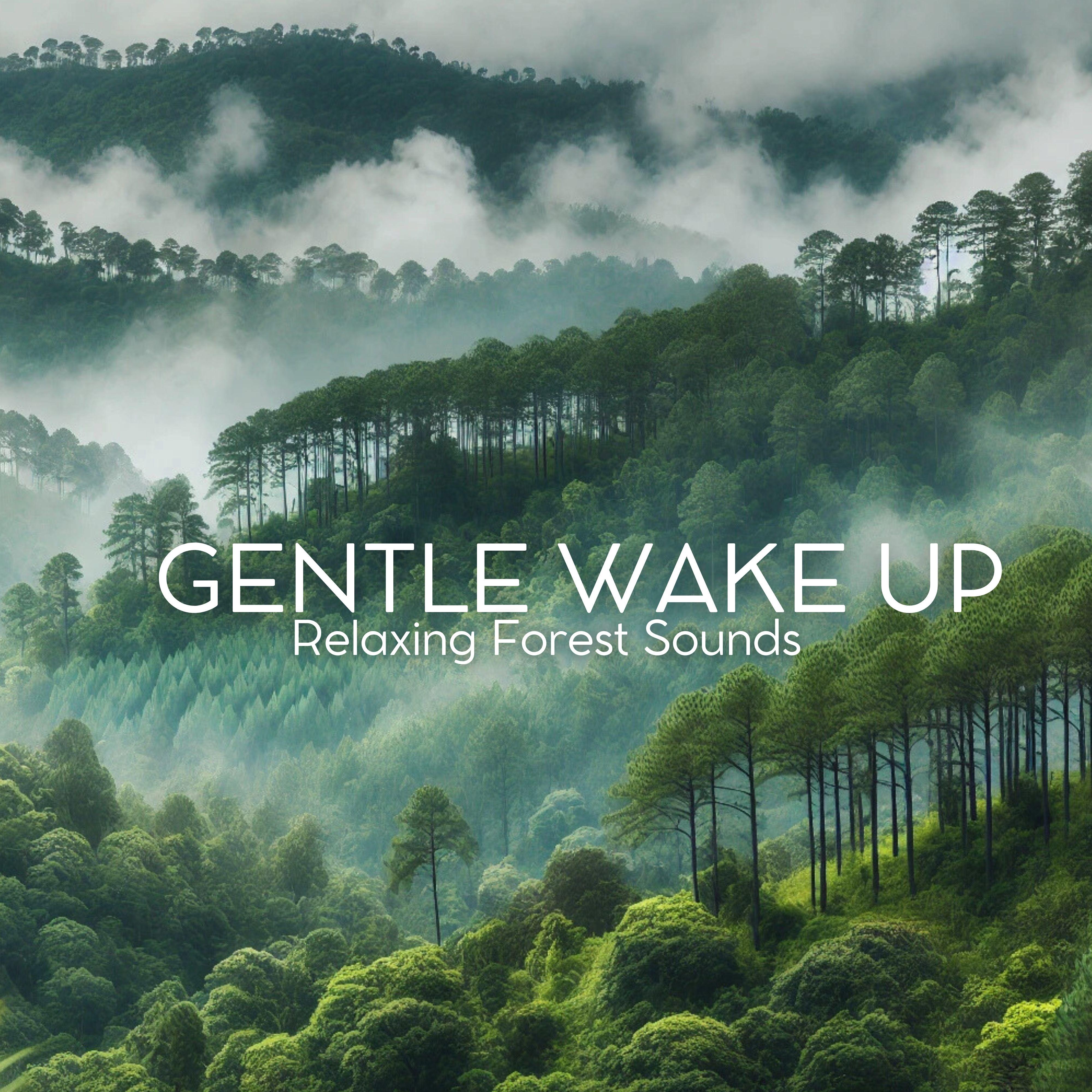 Birds Calling - Relaxation Music Guru/Bird Sounds - 单曲 - 网易云音乐