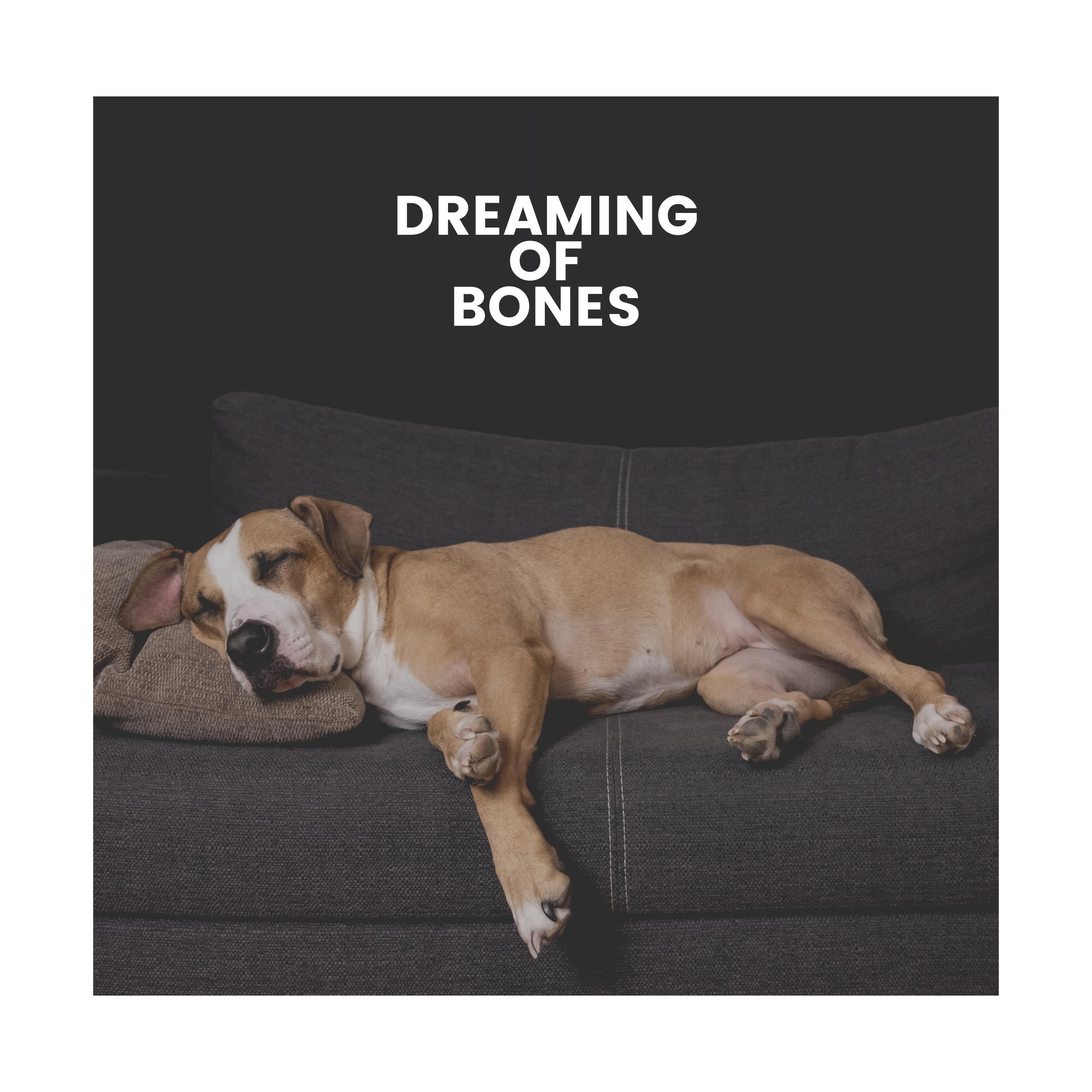Sleepers - Dog Sleep Academy - 单曲 - 网易云音乐