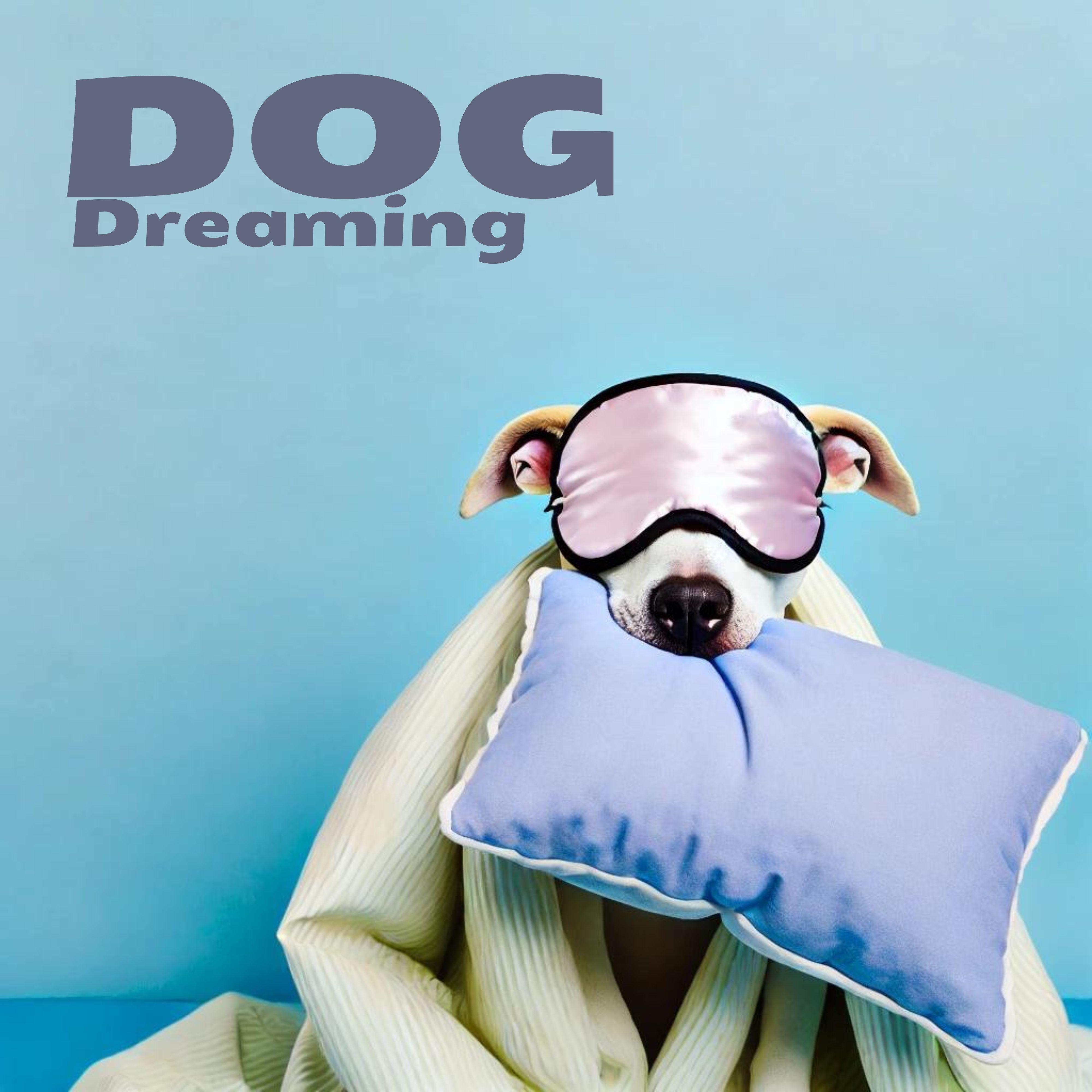 Boundless Trust - Canine Soothness/Calm Pets Music Academy - 单曲 - 网易云音乐