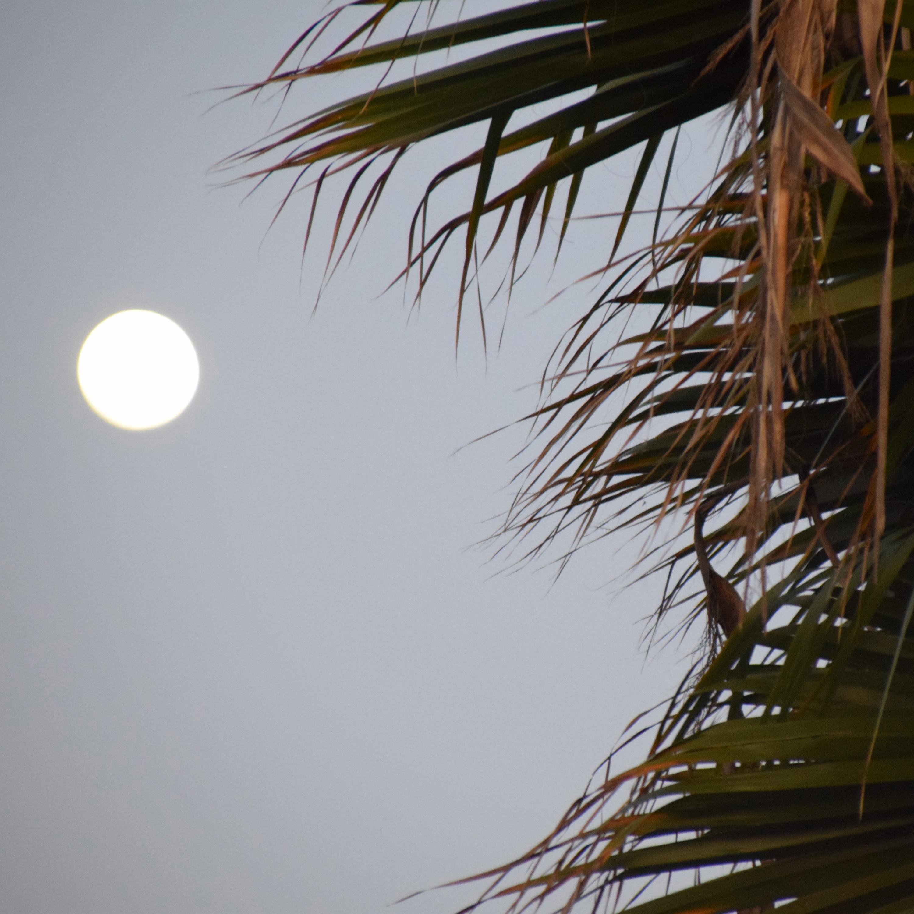 Archangel Gabriel - Alex Rhea - 单曲 - 网易云音乐