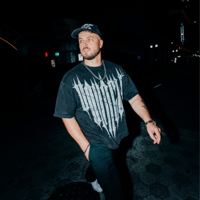 Yeah Yeah Yeahs - Heads Will Roll (Dansyn rework) - Unreleased Tech ...