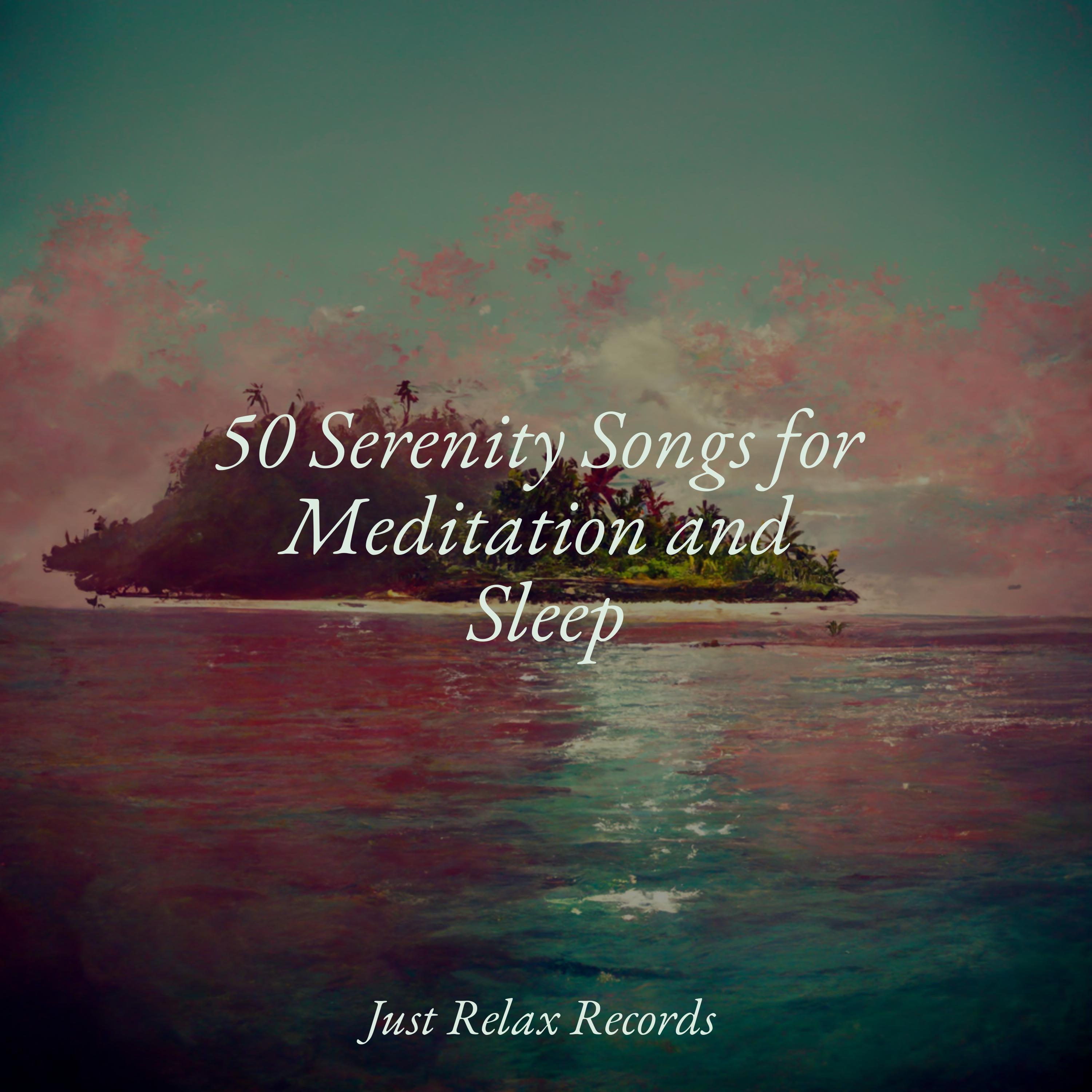 50 Serenity Songs for Meditation and Sleep - Relaxing Music - 专辑 - 网易云音乐