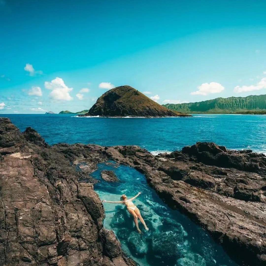 asdasdsa - 中科中科 - 单曲 - 网易云音乐