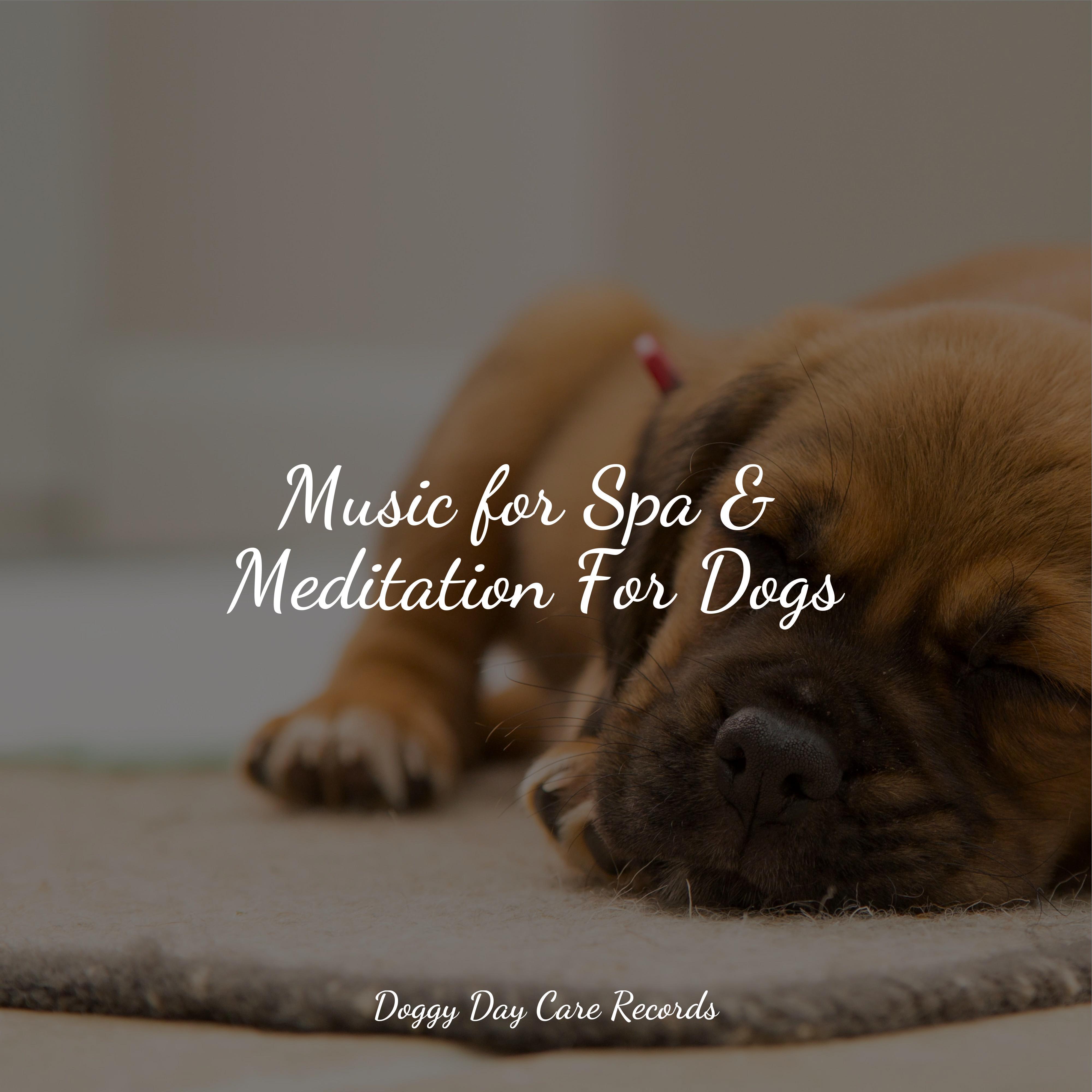 Ultimate Relaxation - Relaxation Music For Dogs/Official Pet Care ...