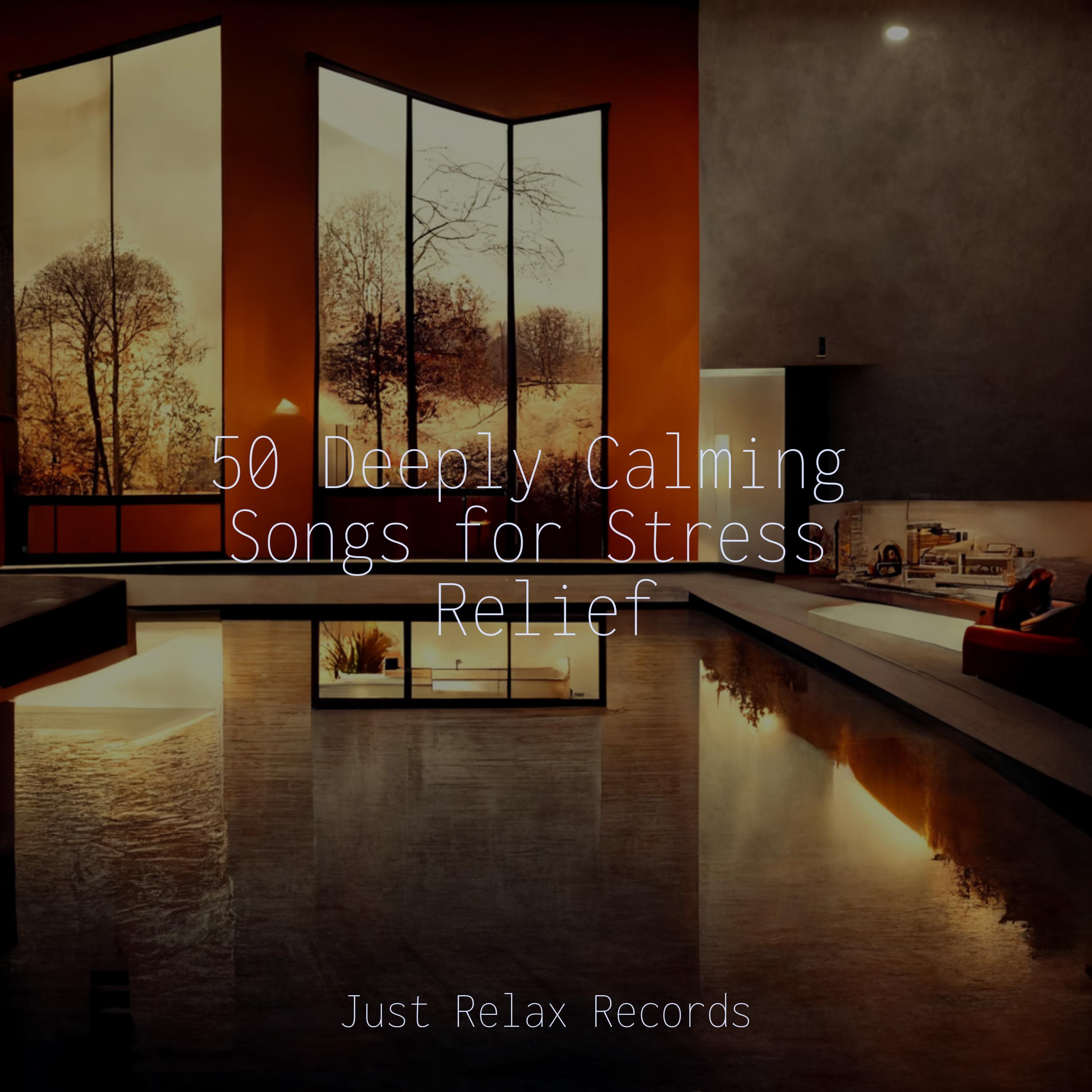 50 Deeply Calming Songs for Stress Relief - Spa - 专辑 - 网易云音乐