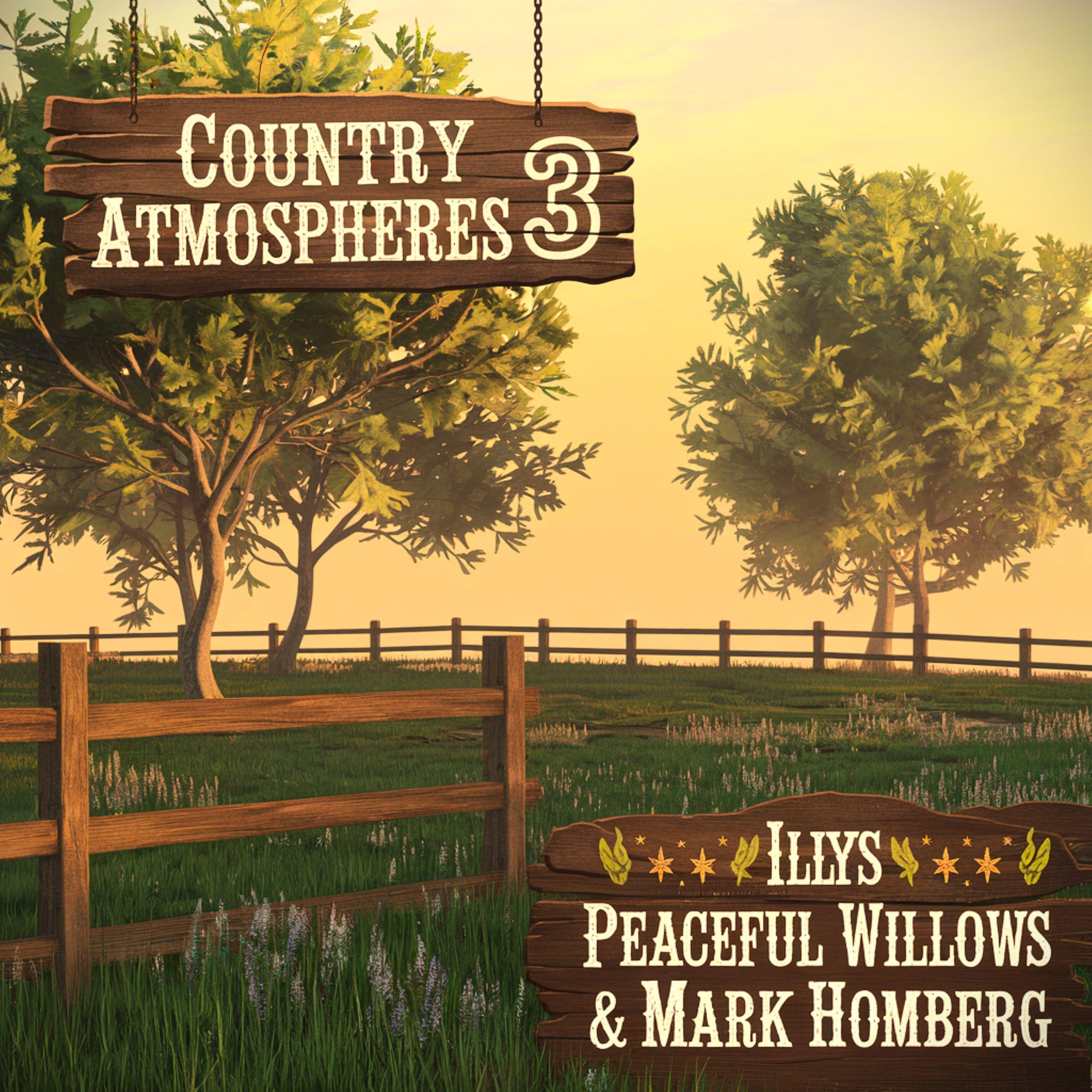 Best of Country Music 37 - Lilys Peaceful Willows/Mark Homberg - 单曲 - 网易云音乐