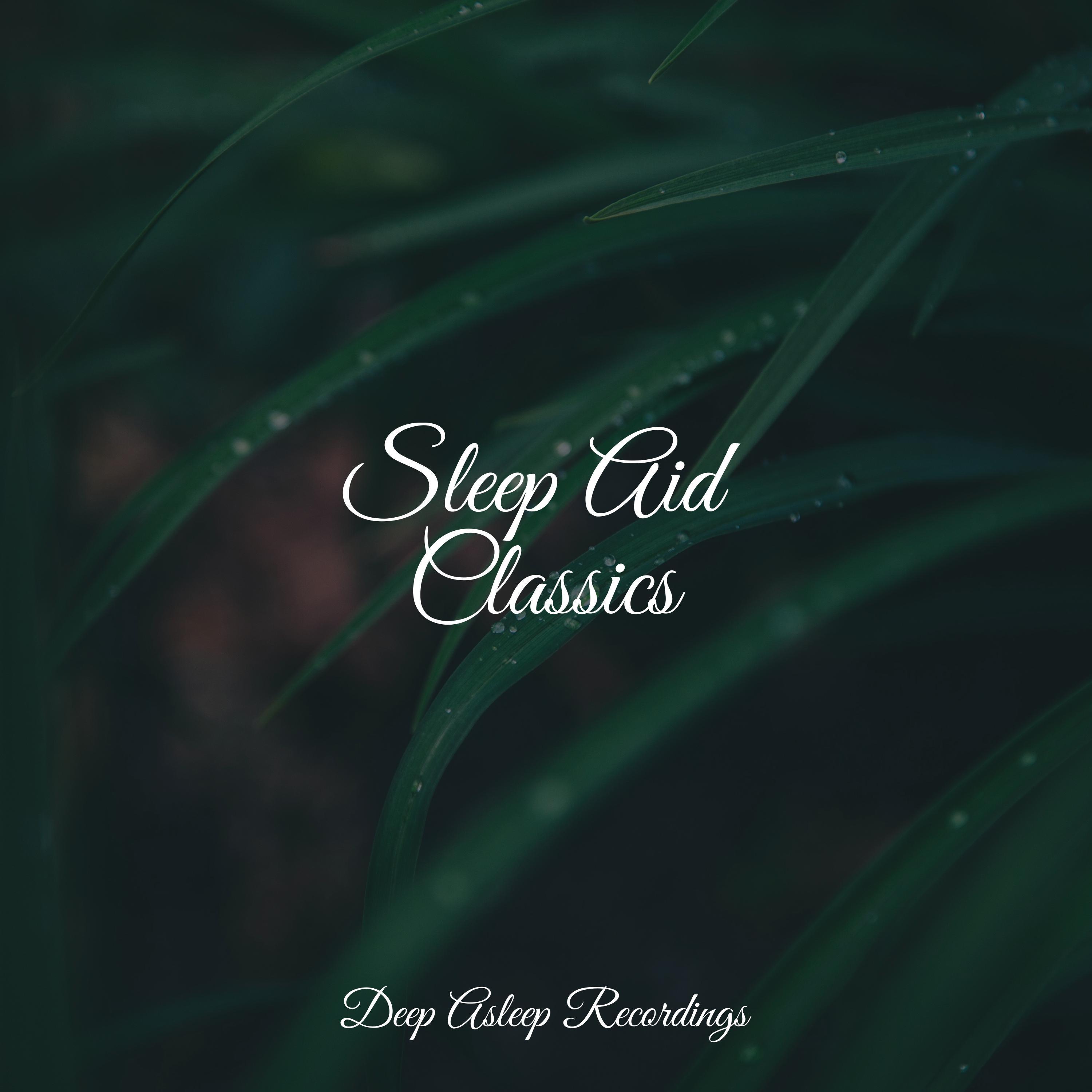 Autumn Falls - Shakuhachi Sakano/PowerThoughts Meditation Club/Spa ...