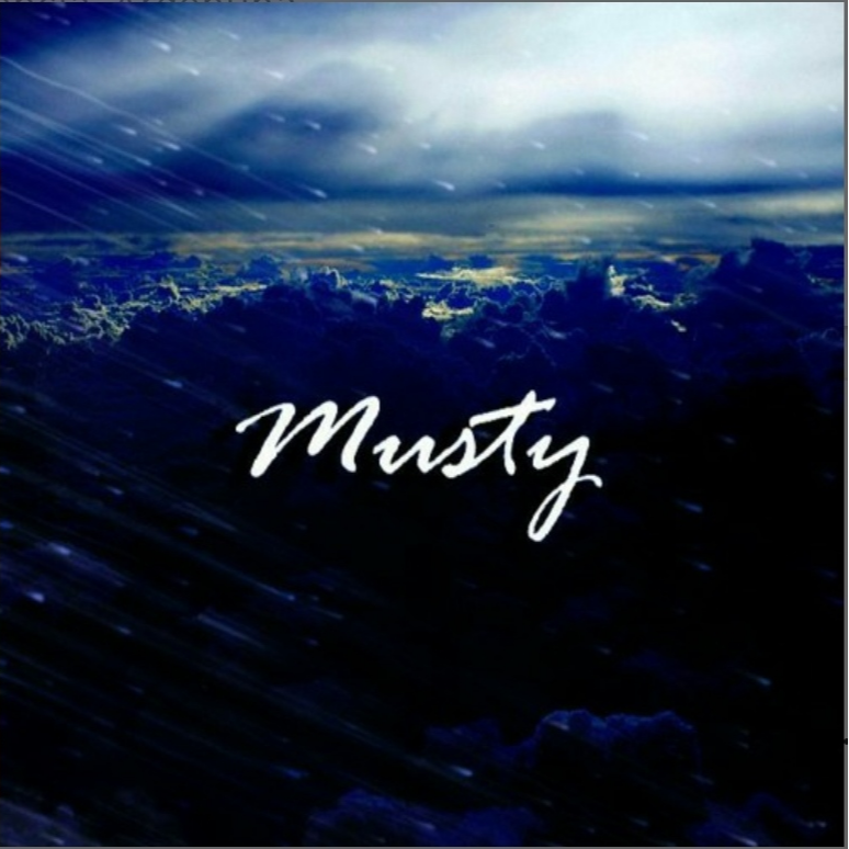 Musty - 歌手 - 网易云音乐
