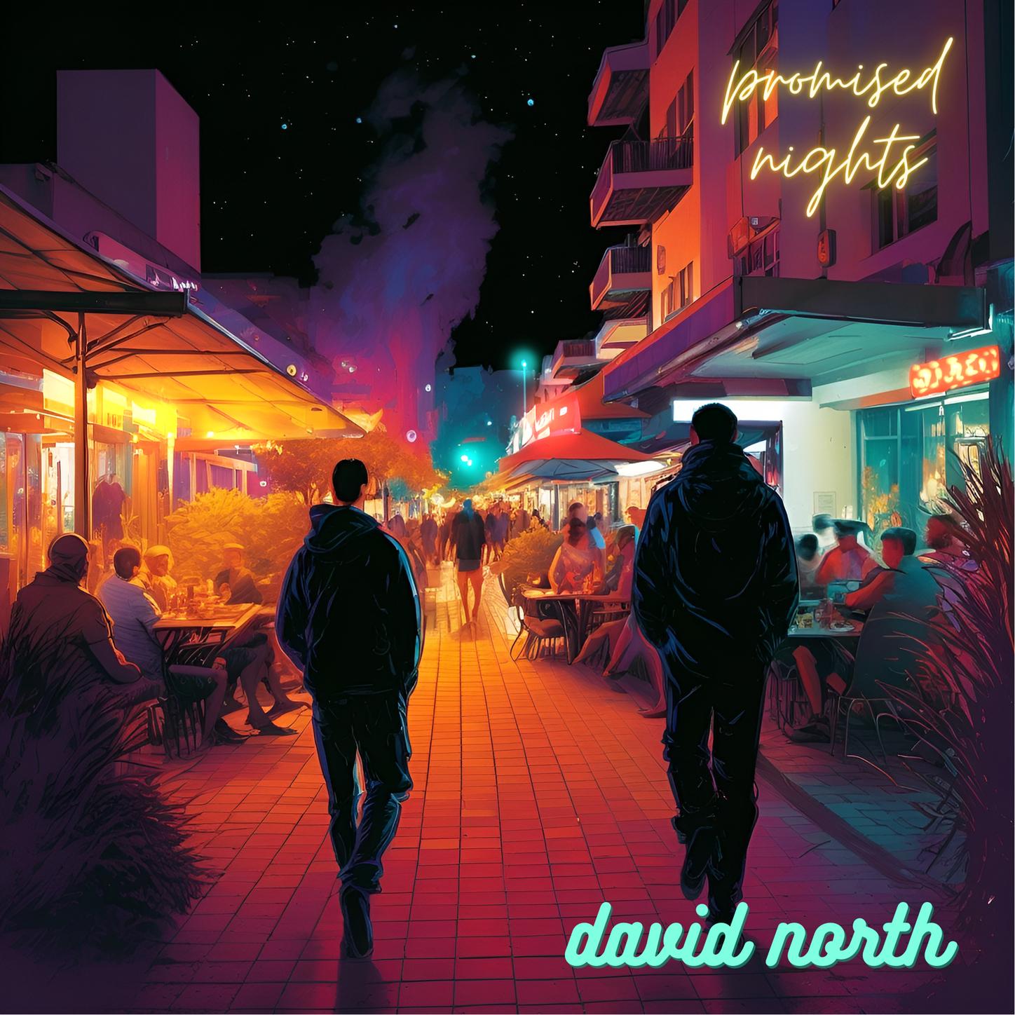 Promised Nights - David North - 单曲 - 网易云音乐