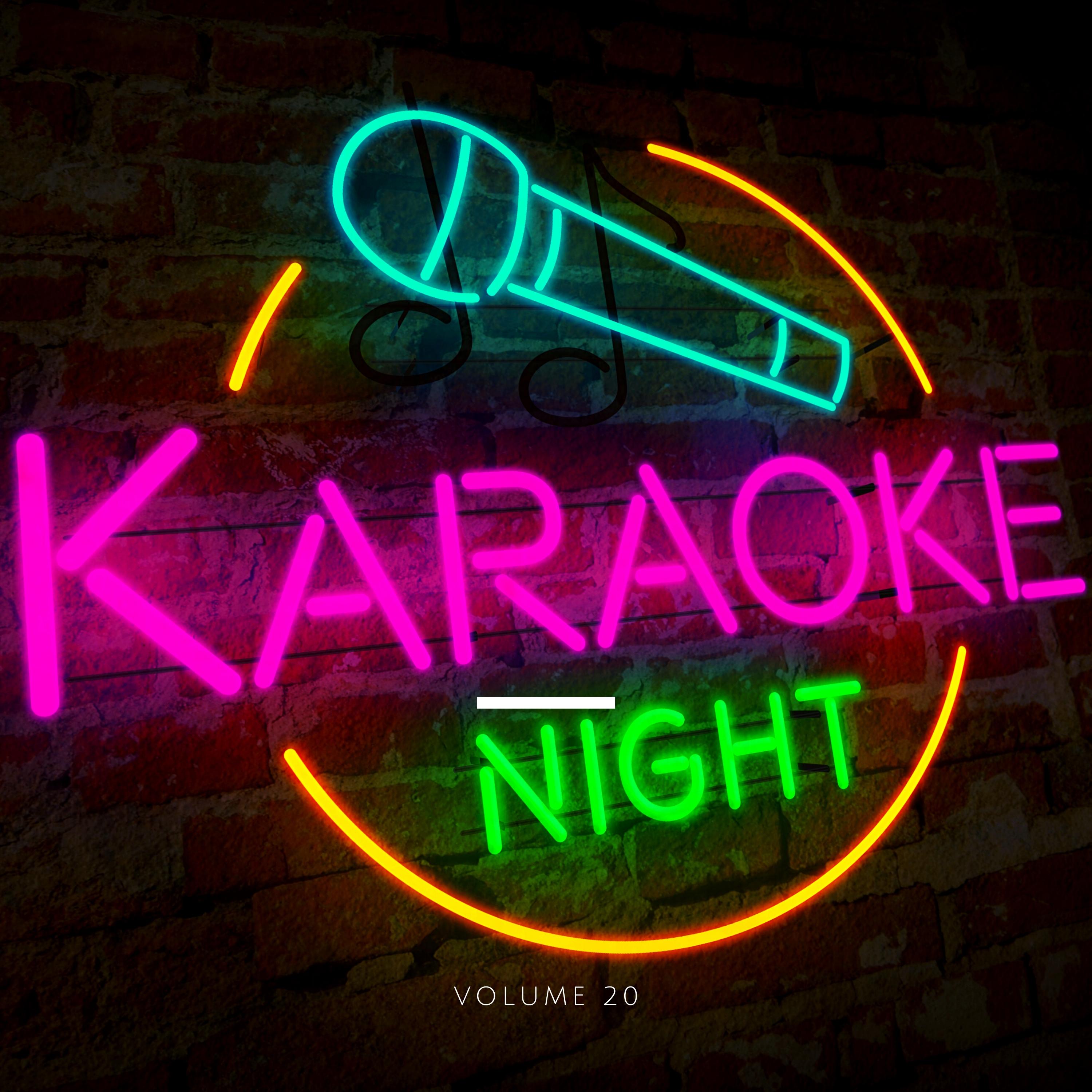 Karaoke Night, Vol. 20 - Anna Gramm - 专辑 - 网易云音乐
