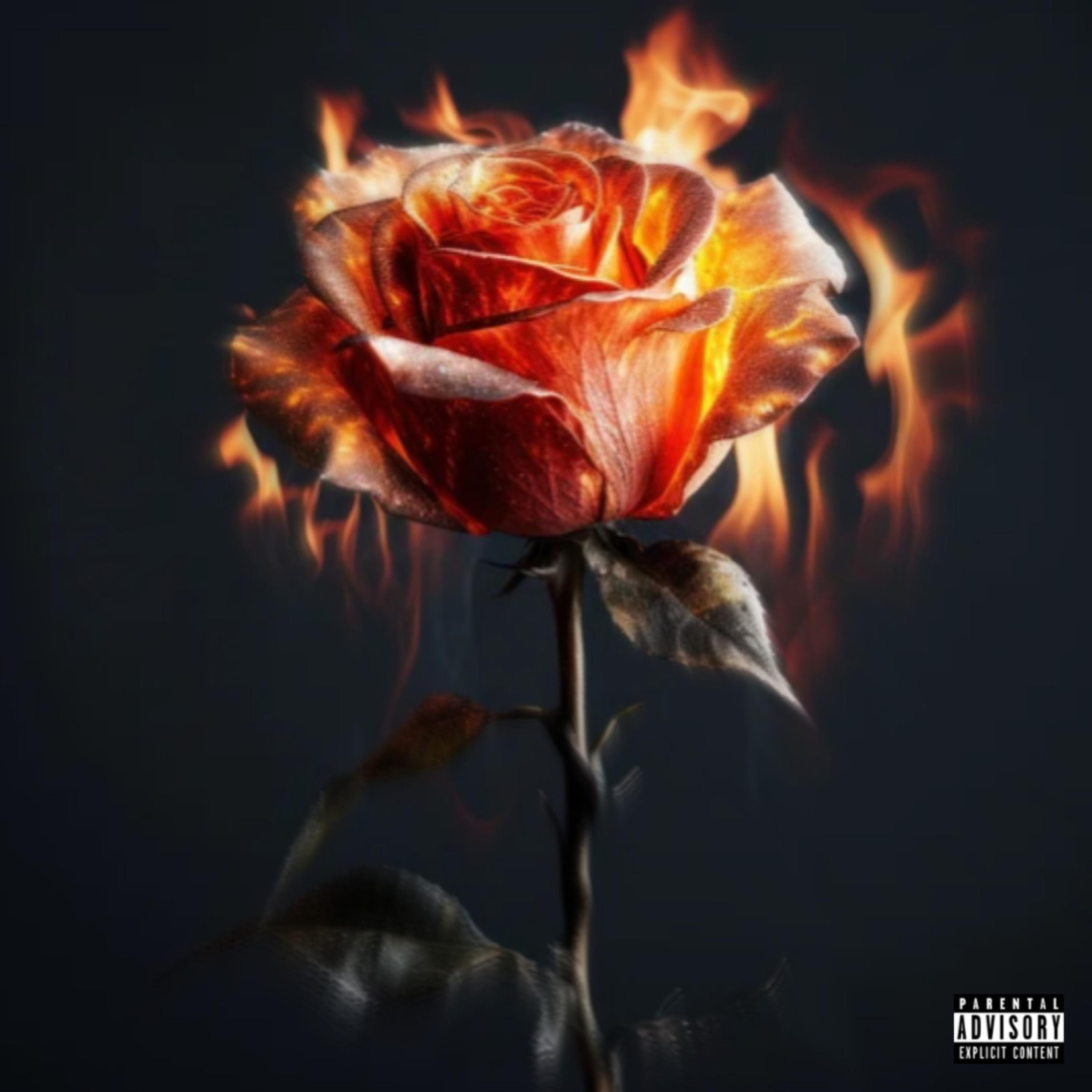 don’t blame me - Tj Berry - 专辑 - 网易云音乐