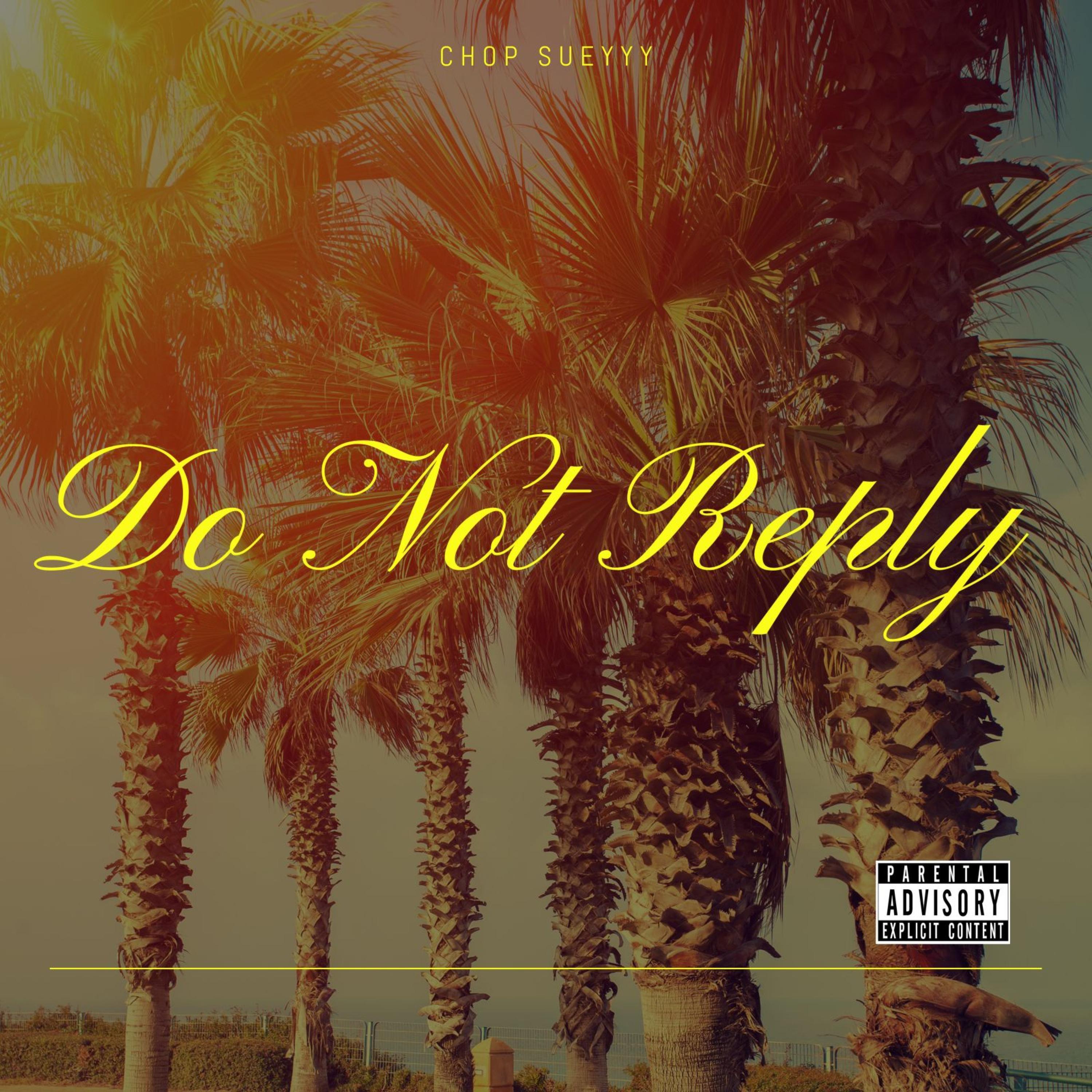 Do Not Reply - Chop Sueyyy - 单曲 - 网易云音乐