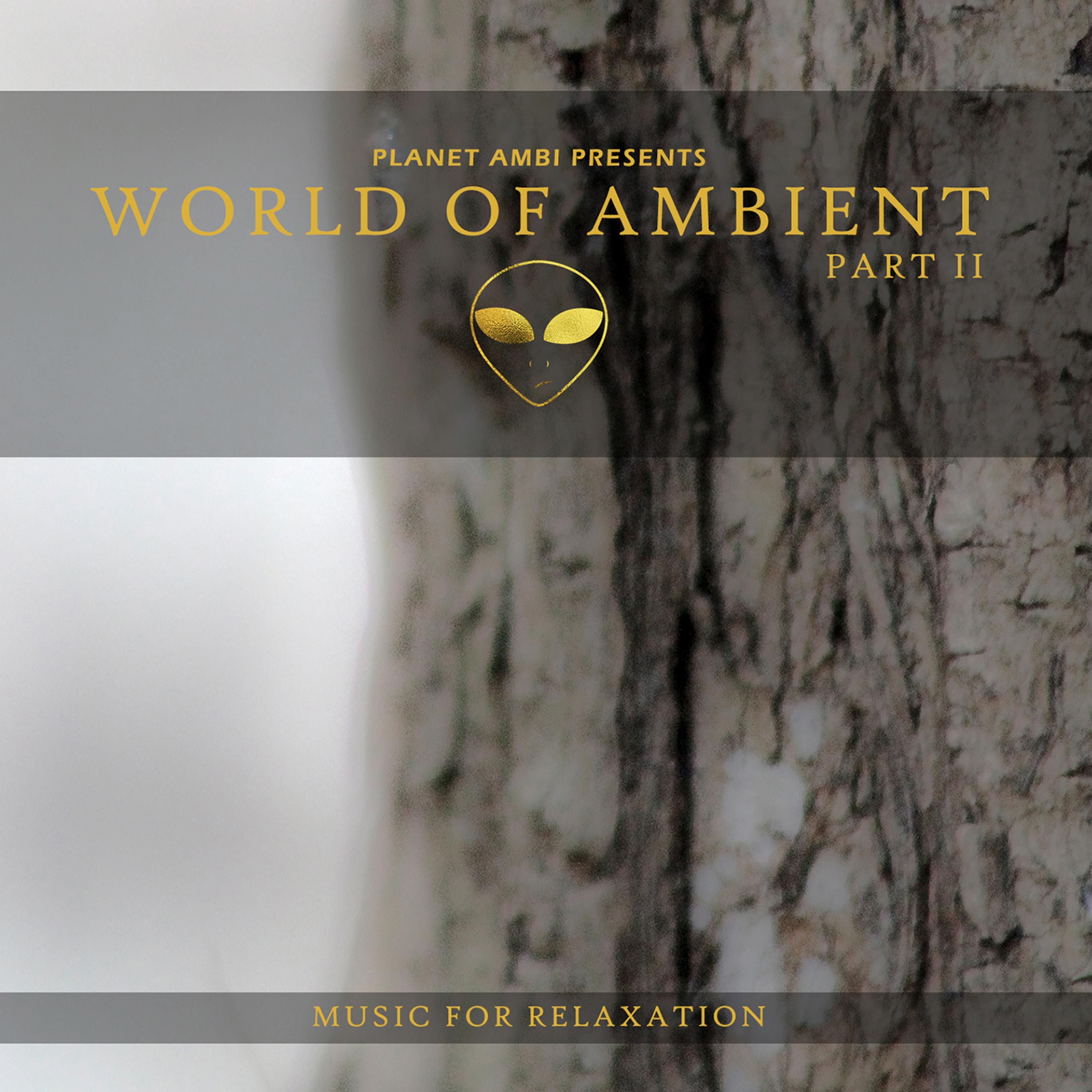 Planet Ambi Pres. World of Ambient, Pt. II (Music for Relaxation ...