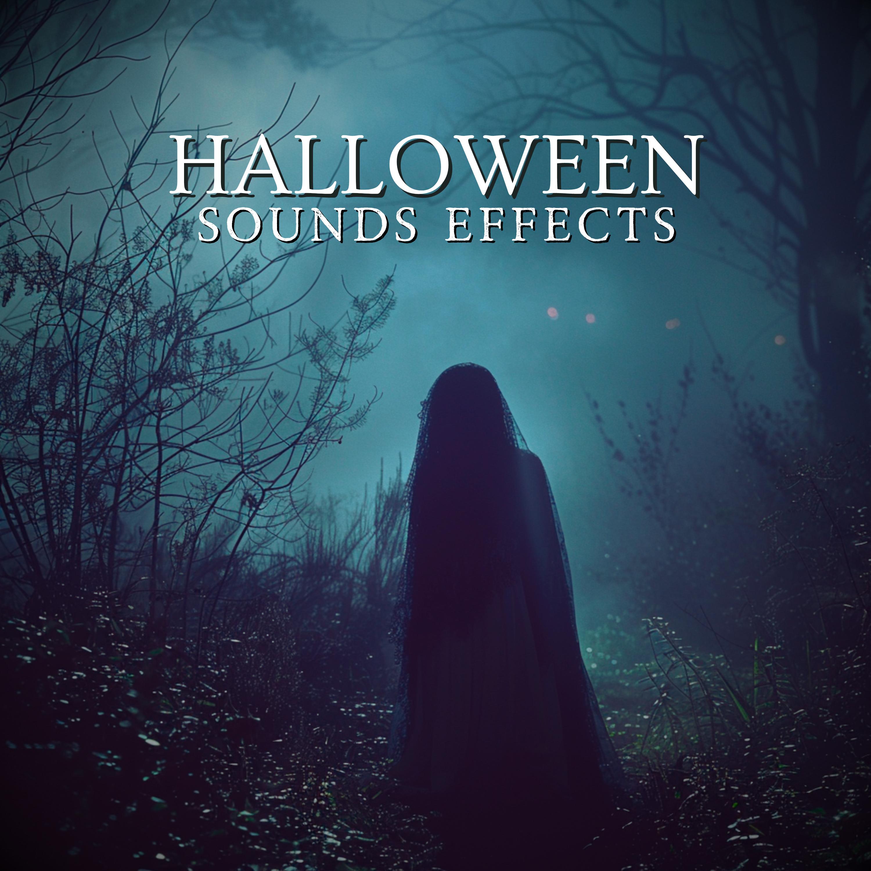 Sounds of Psychosis - Halloween FX Productions/Scary Halloween Sounds ...