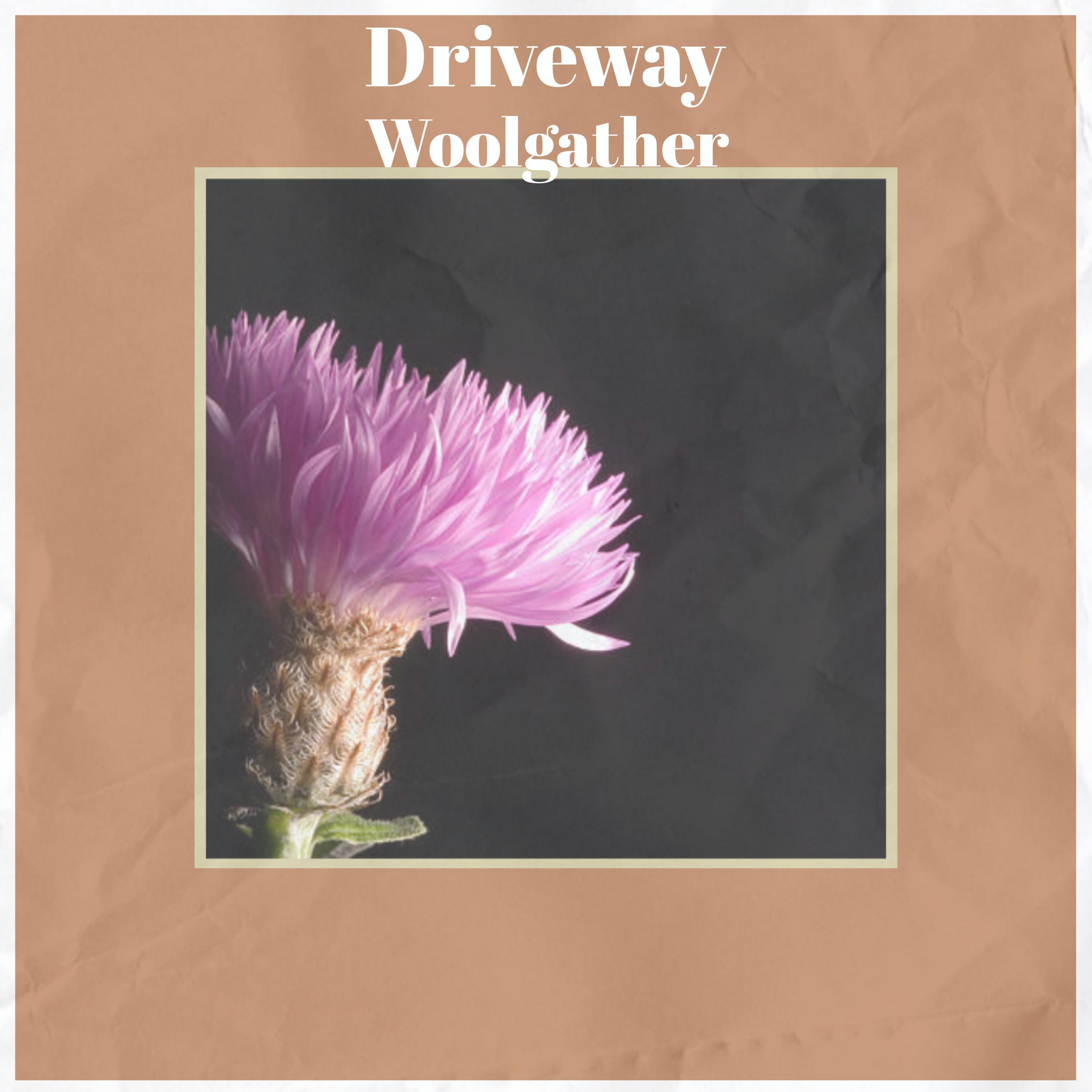 Driveway Woolgather - Various Artists - 专辑 - 网易云音乐