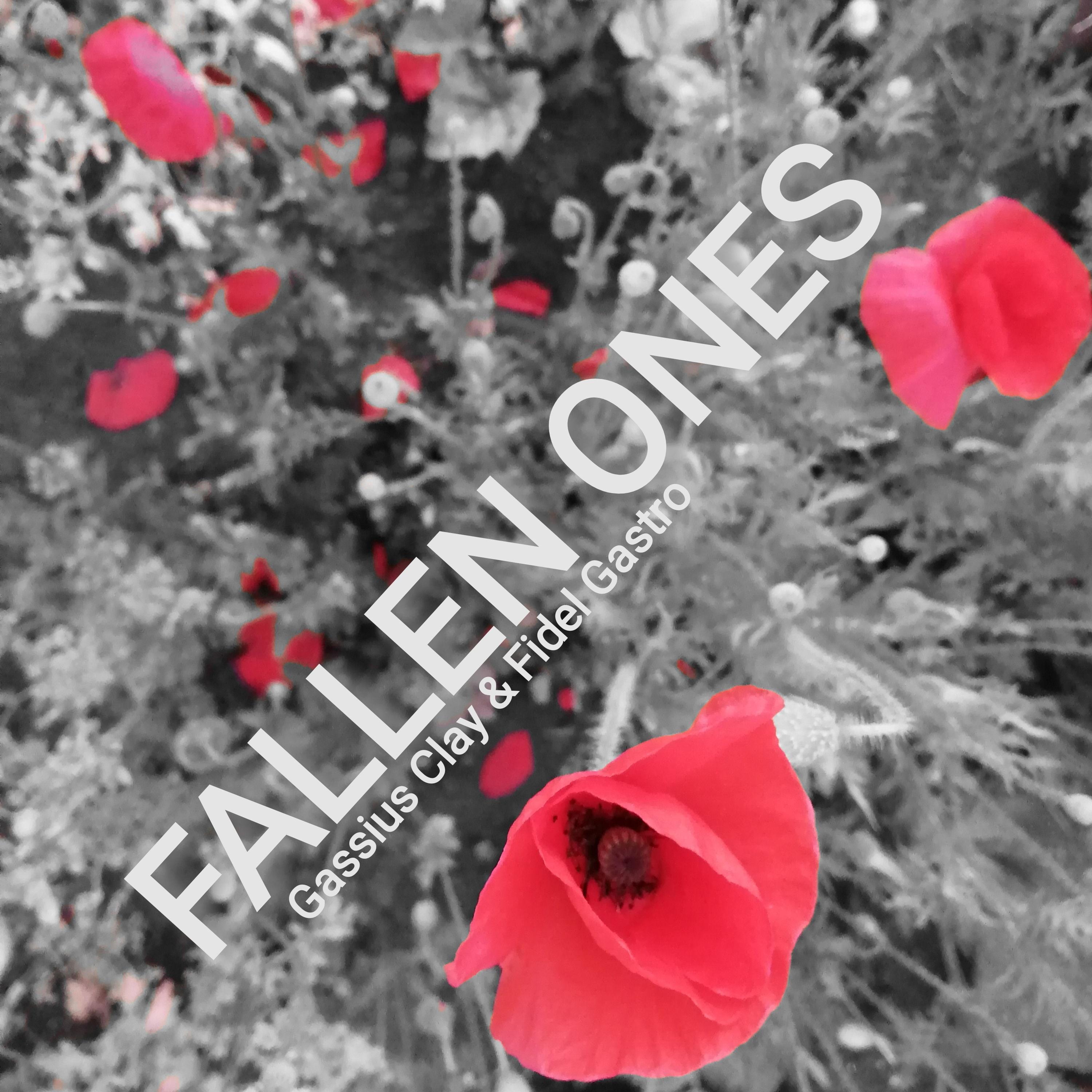 Fallen Ones - Gassius Clay - 专辑 - 网易云音乐