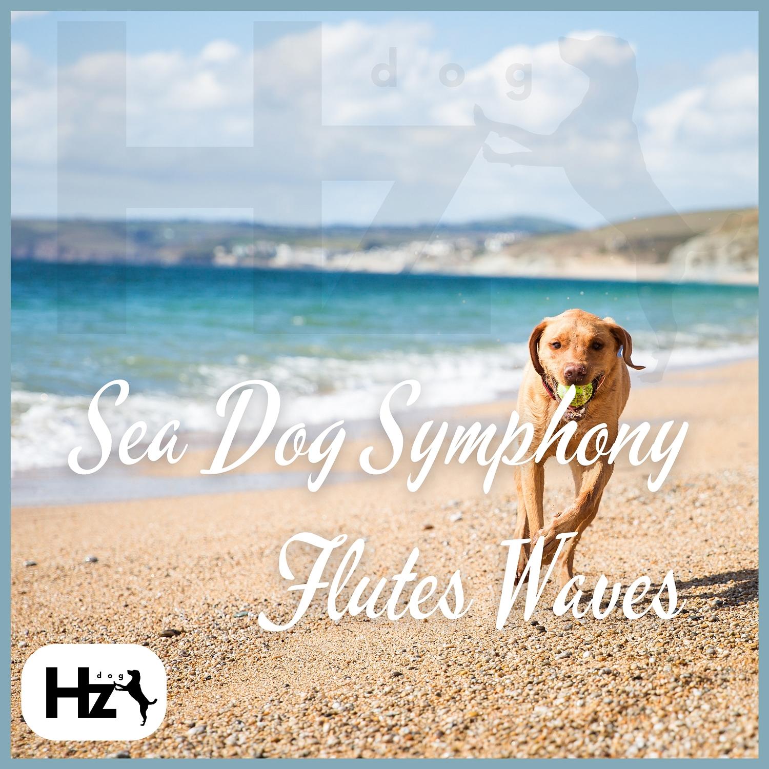 417 Hertz Frequency Wave, Help Your Dog Feel at Home - Hz Dog - 单曲 - 网易云音乐