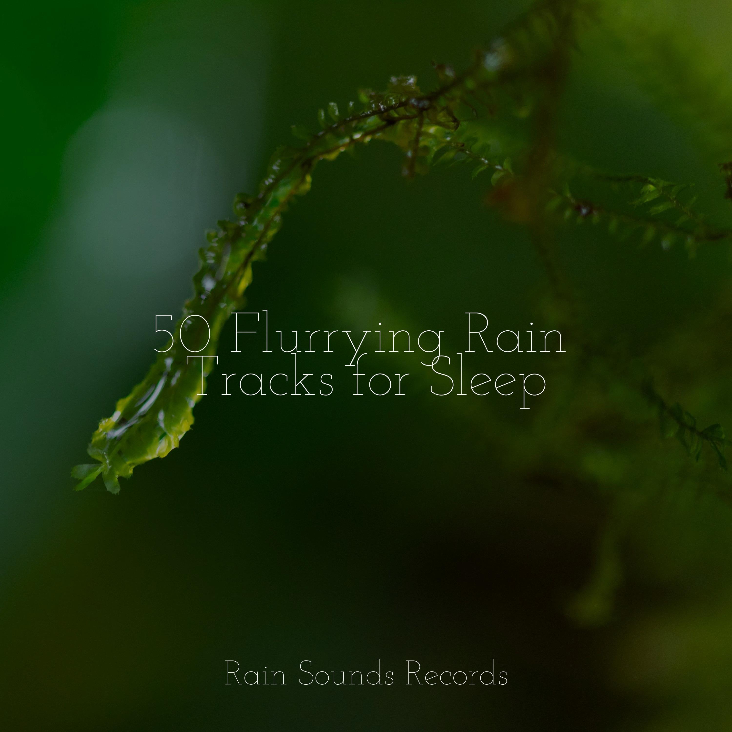 50 Flurrying Rain Tracks for Sleep - Meditation Rain Sounds - 专辑 - 网易云音乐