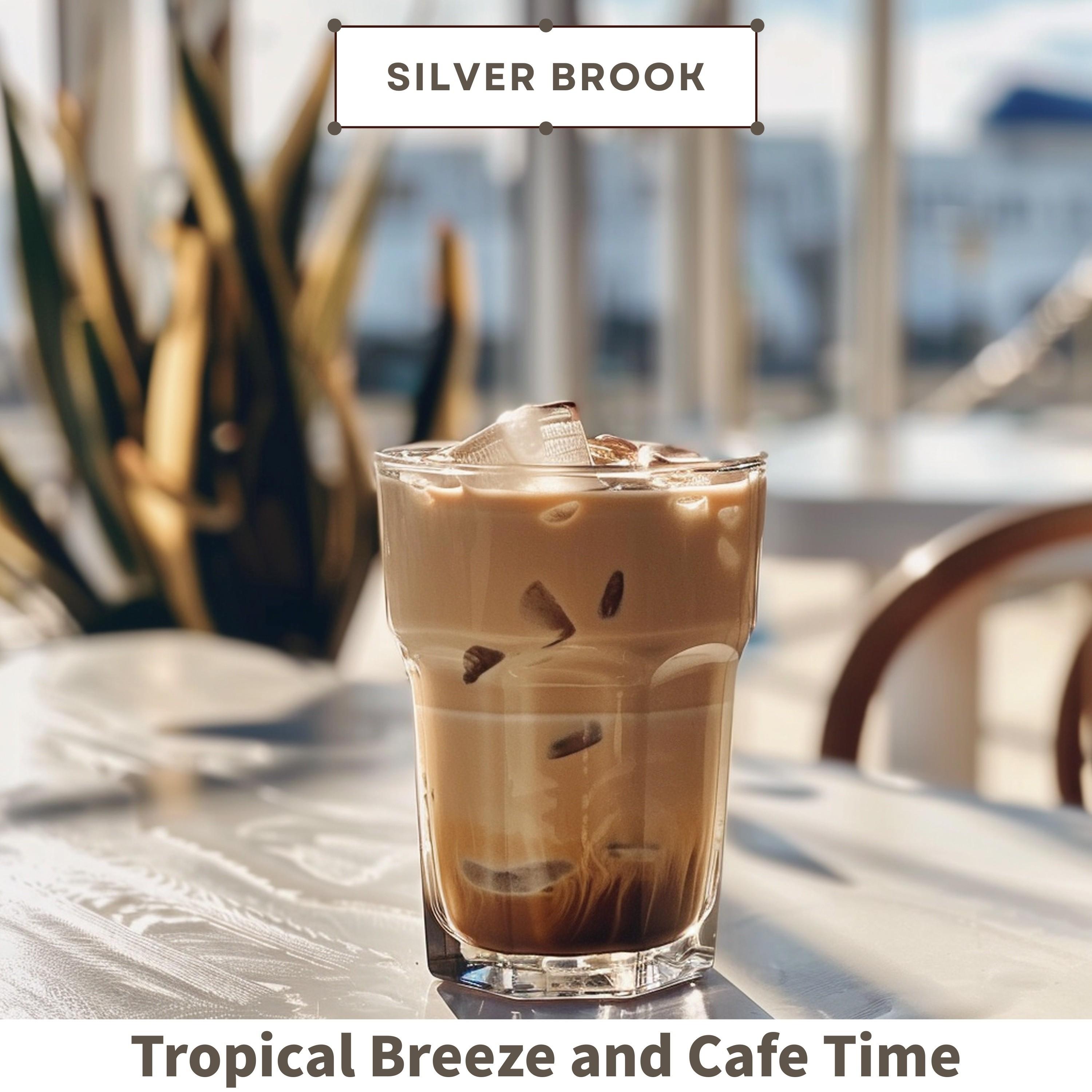 Driftwood Sunset Silhouettes (Keyb Version) - Silver Brook - 单曲 - 网易云音乐