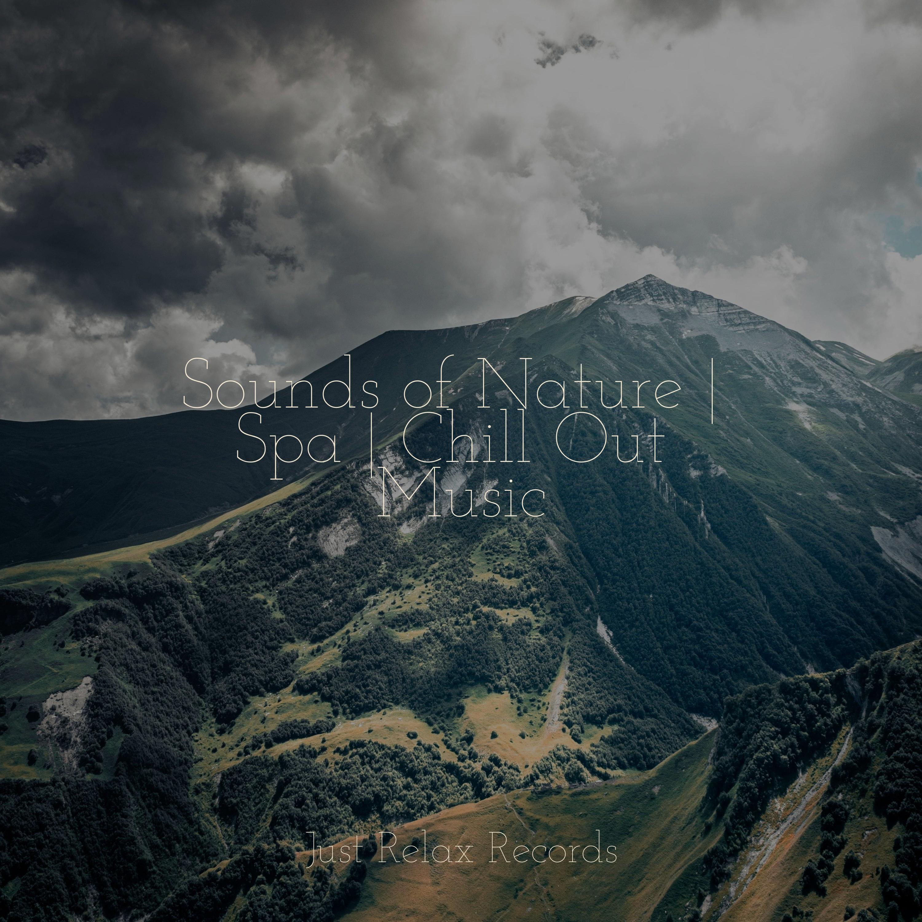 Sounds of Nature | Spa | Chill Out Music - Música ambiental relajante ...