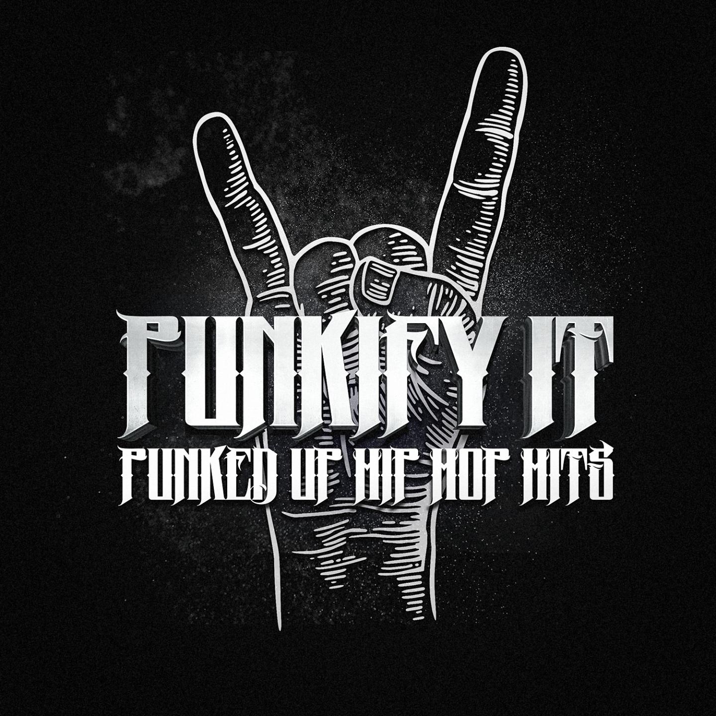 Punkify It! Punk up Those Hip-Hip Hits! - Top 40 - 专辑 - 网易云音乐