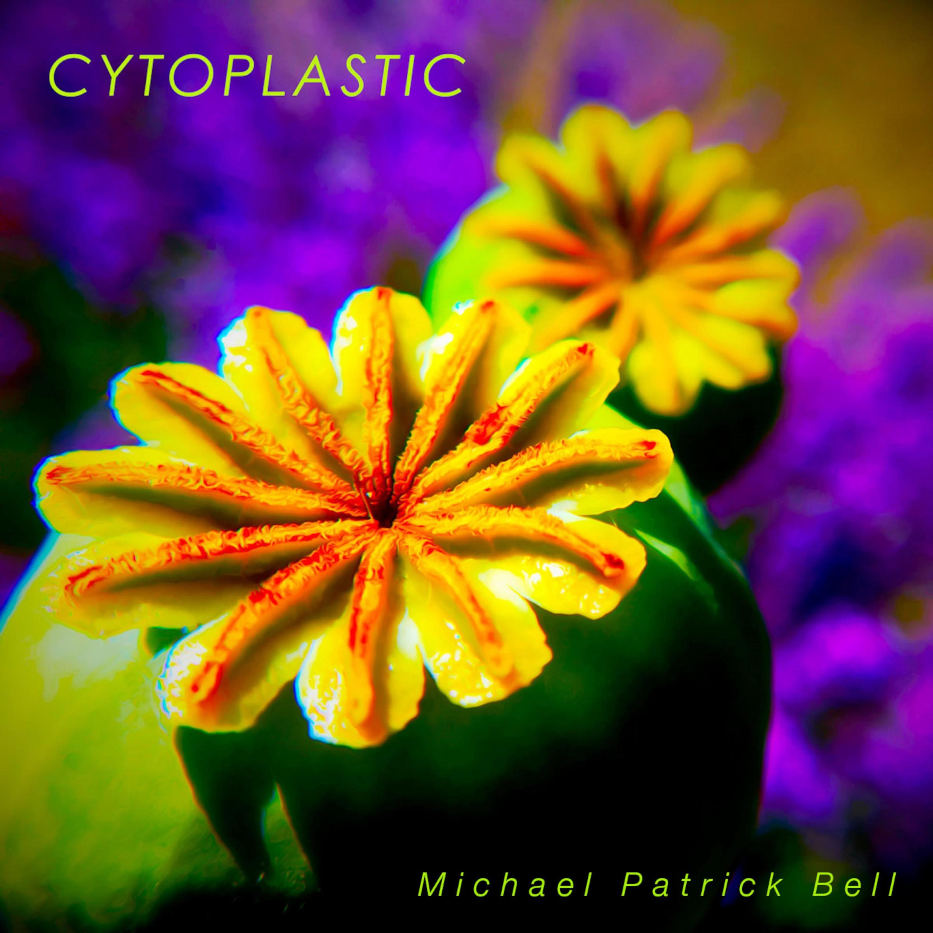 The Cruelty Agenda - Michael Patrick Bell - 单曲 - 网易云音乐