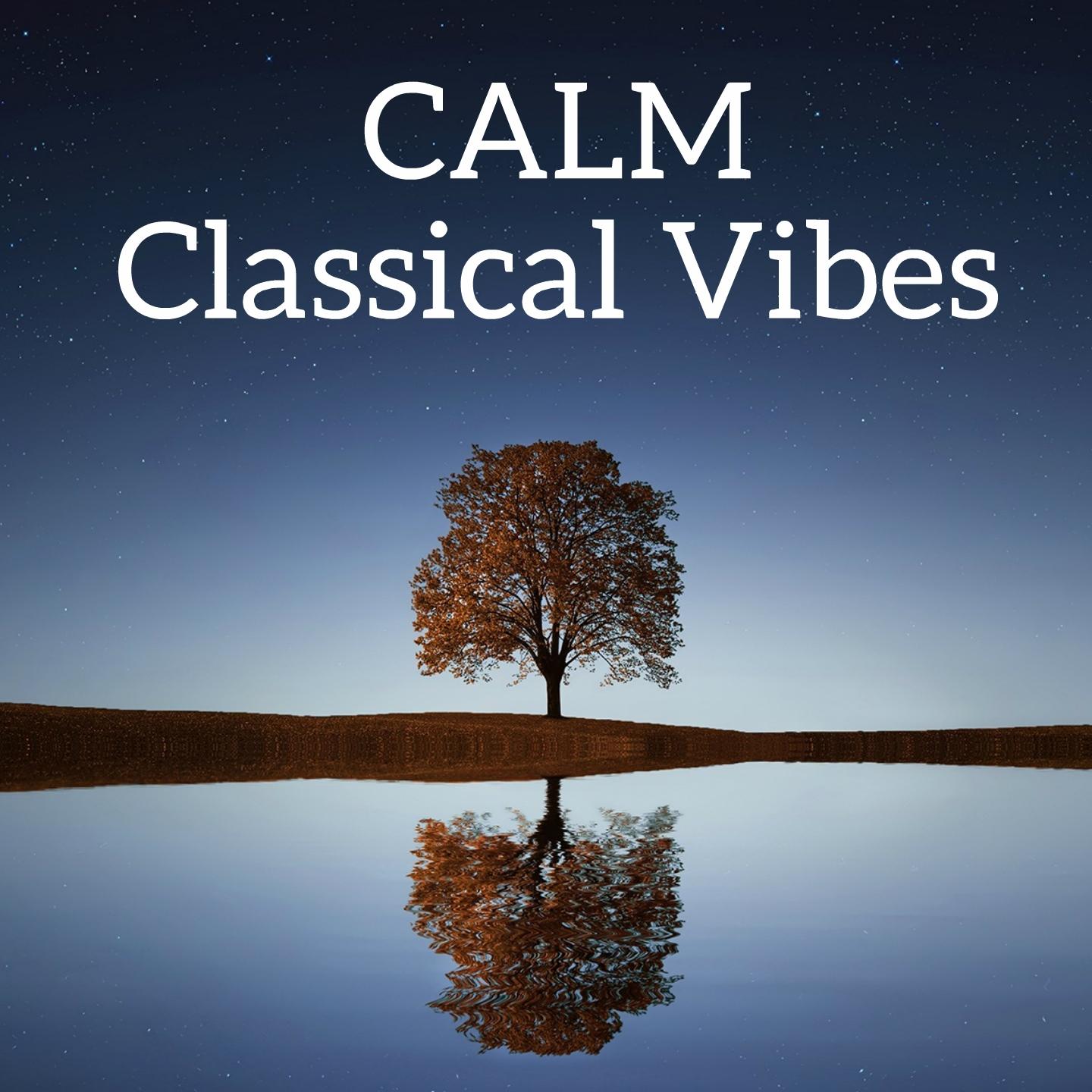 Calm Classical Vibes - Various Artists - 专辑 - 网易云音乐