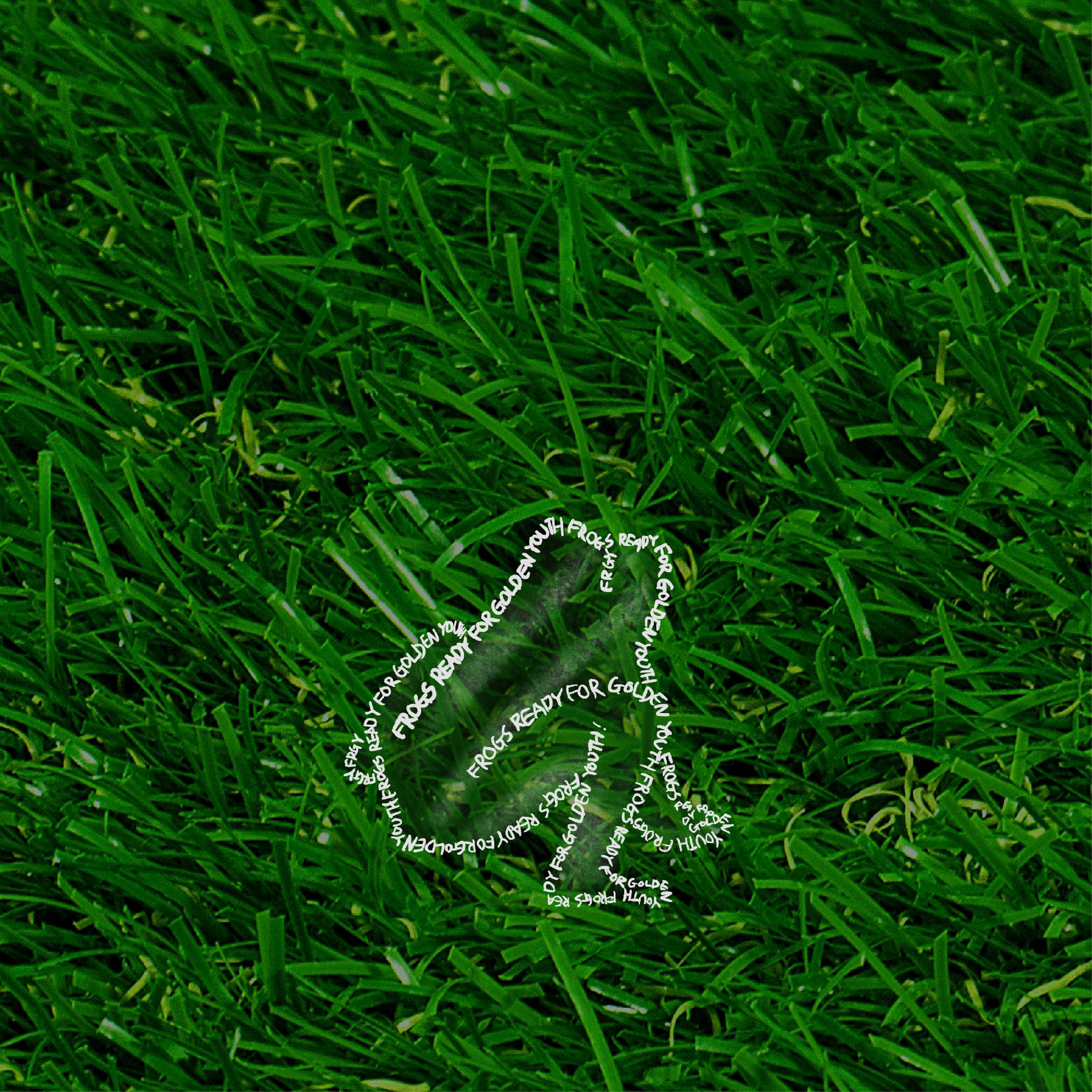 Rusty Boyz - FROGGY COUNTRY - 单曲 - 网易云音乐