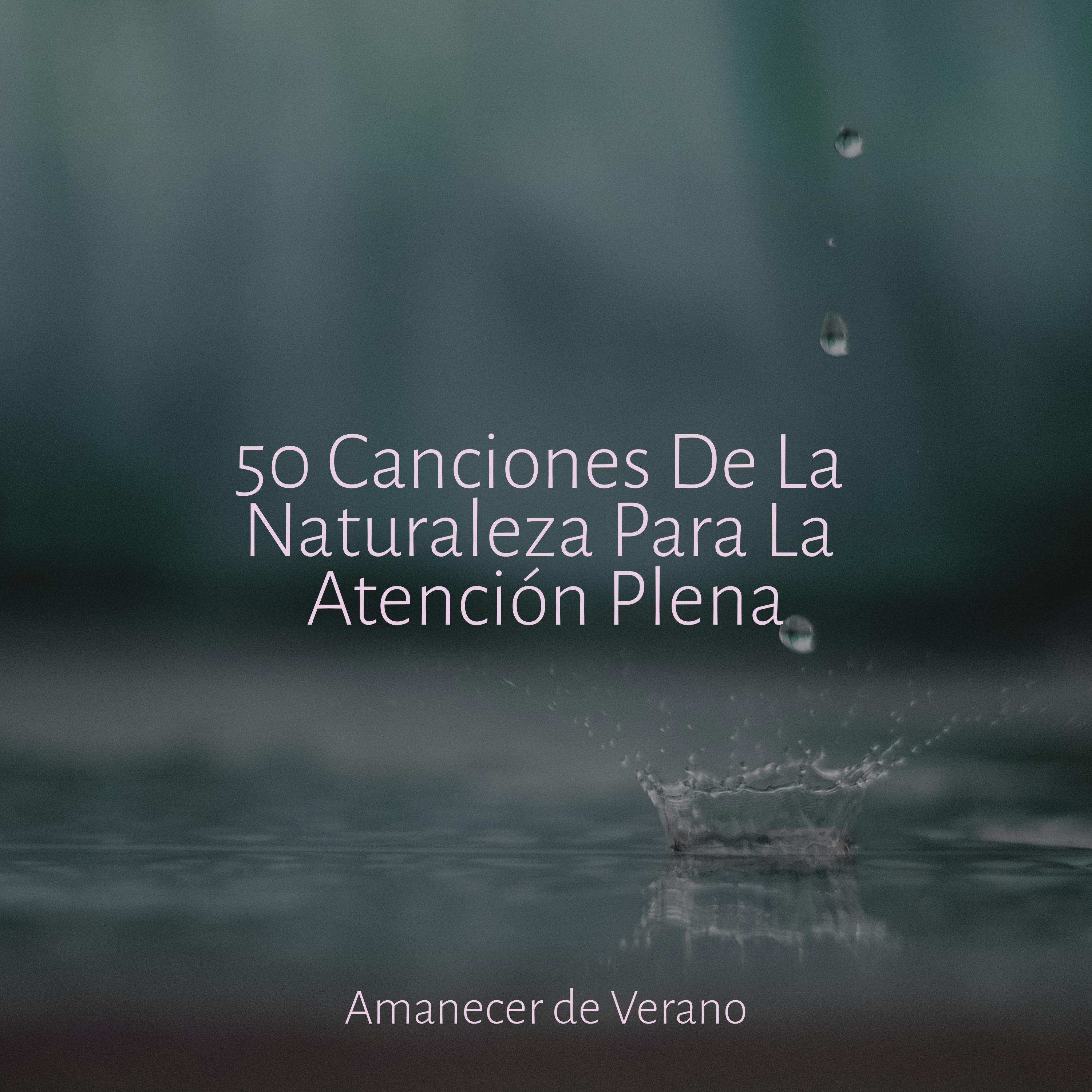 Ecos de la Canción del Sílfide - Relaxing Music/Naturaleza Sonidos ...