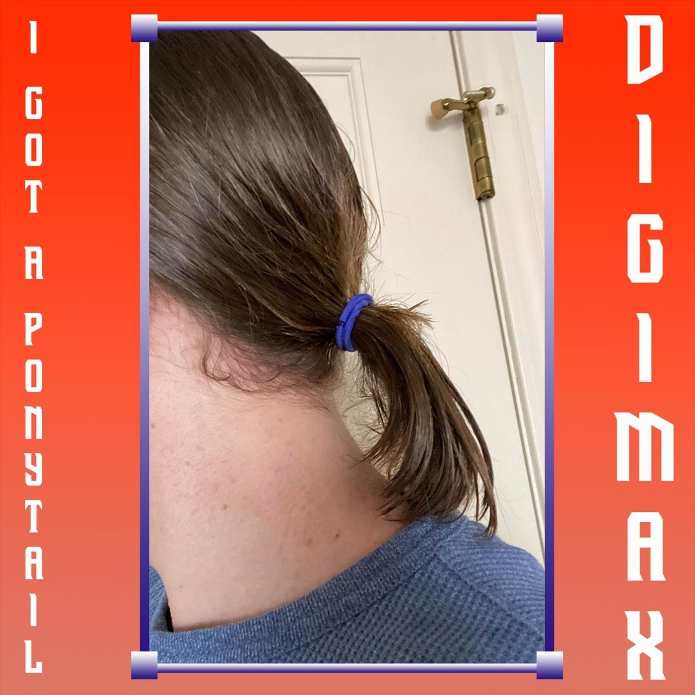 I Got a Ponytail - Digimax - 单曲 - 网易云音乐
