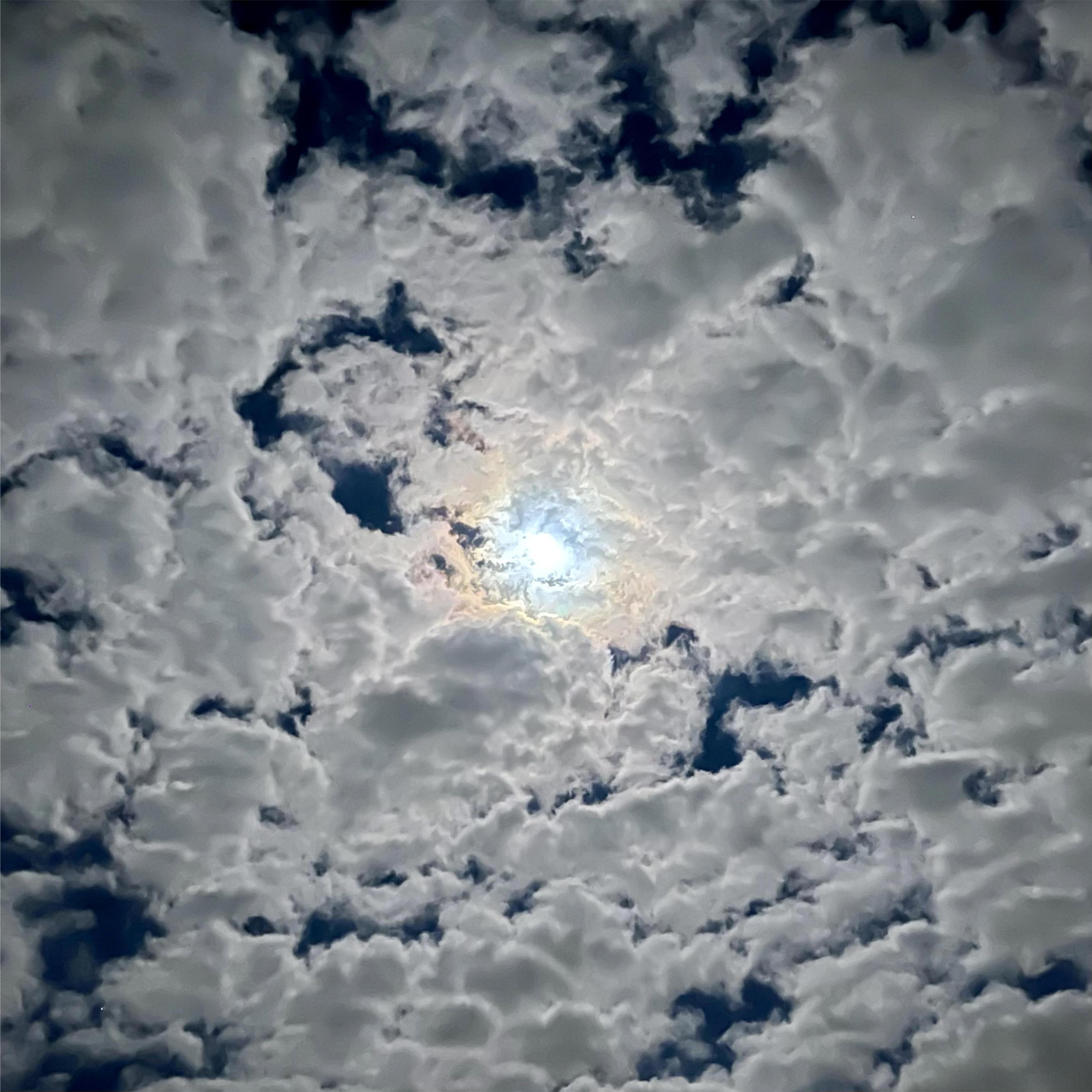 Night Beat - Mui - 单曲 - 网易云音乐