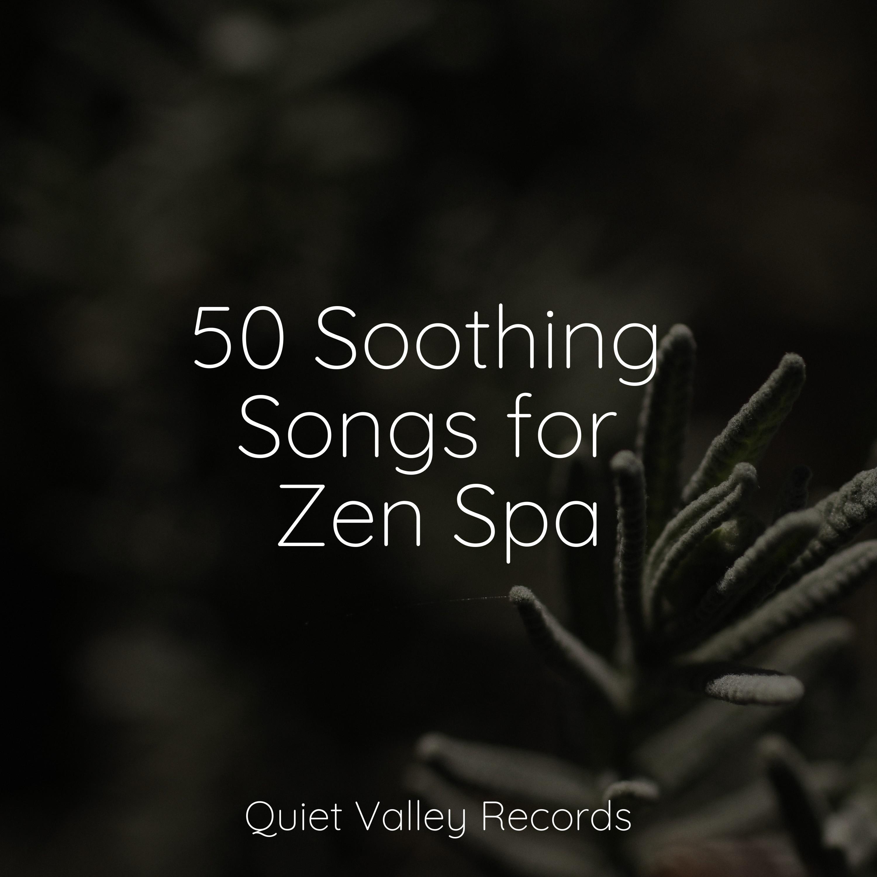 50 Soothing Songs for Zen Spa - Relaxing Nature Sounds Collection - 专辑 ...