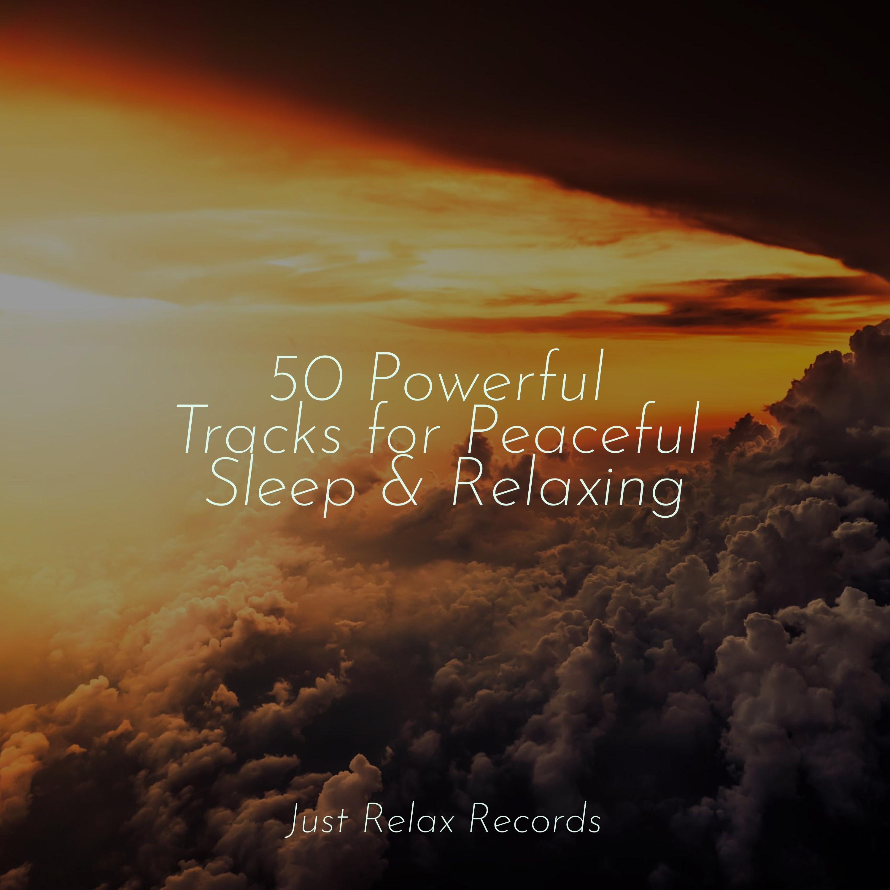 50 Powerful Tracks for Peaceful Sleep & Relaxing - Reiki Tribe - 专辑 - 网易云音乐