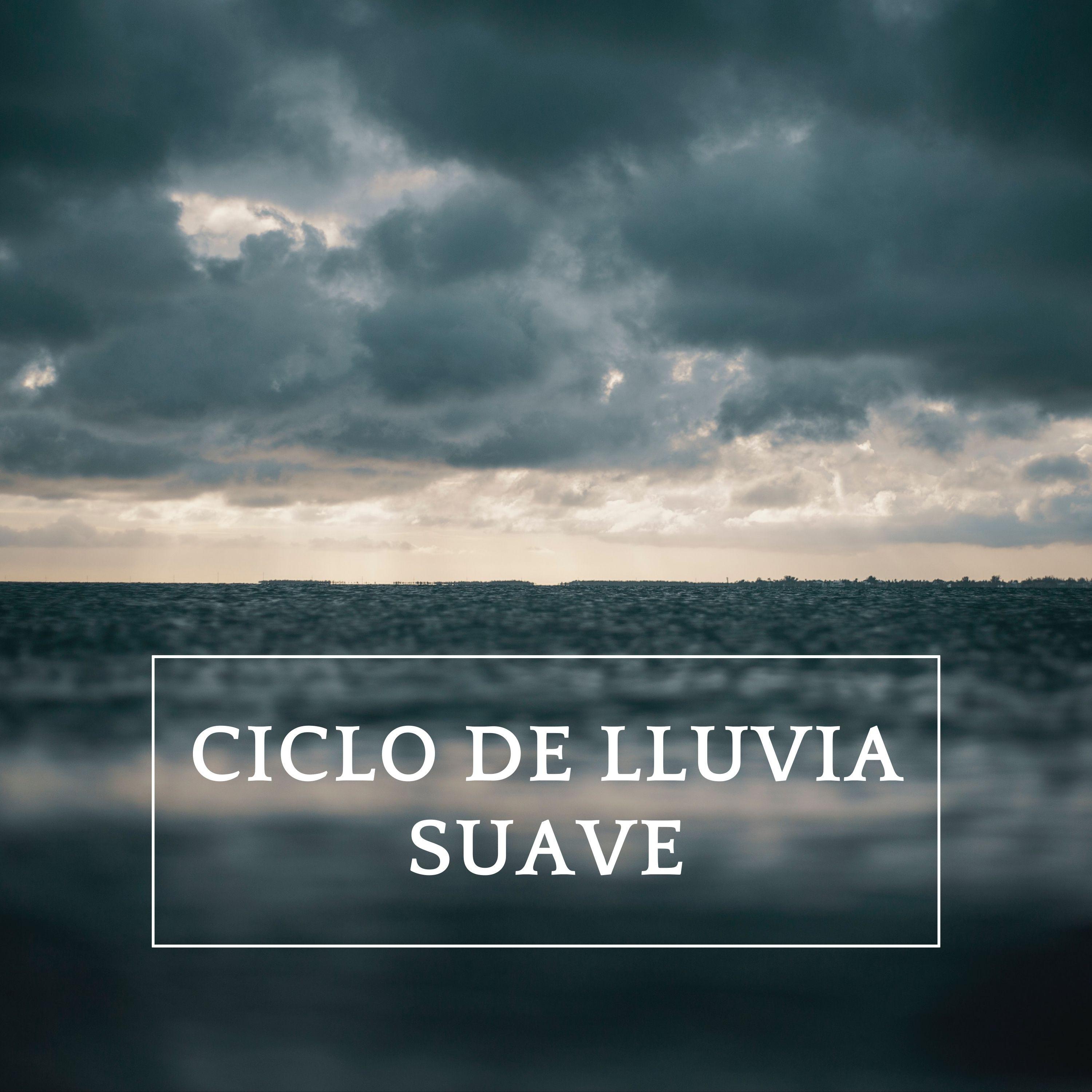 Ciclo De Lluvia Suave - Sonidos de lluvia ACE - 专辑 - 网易云音乐
