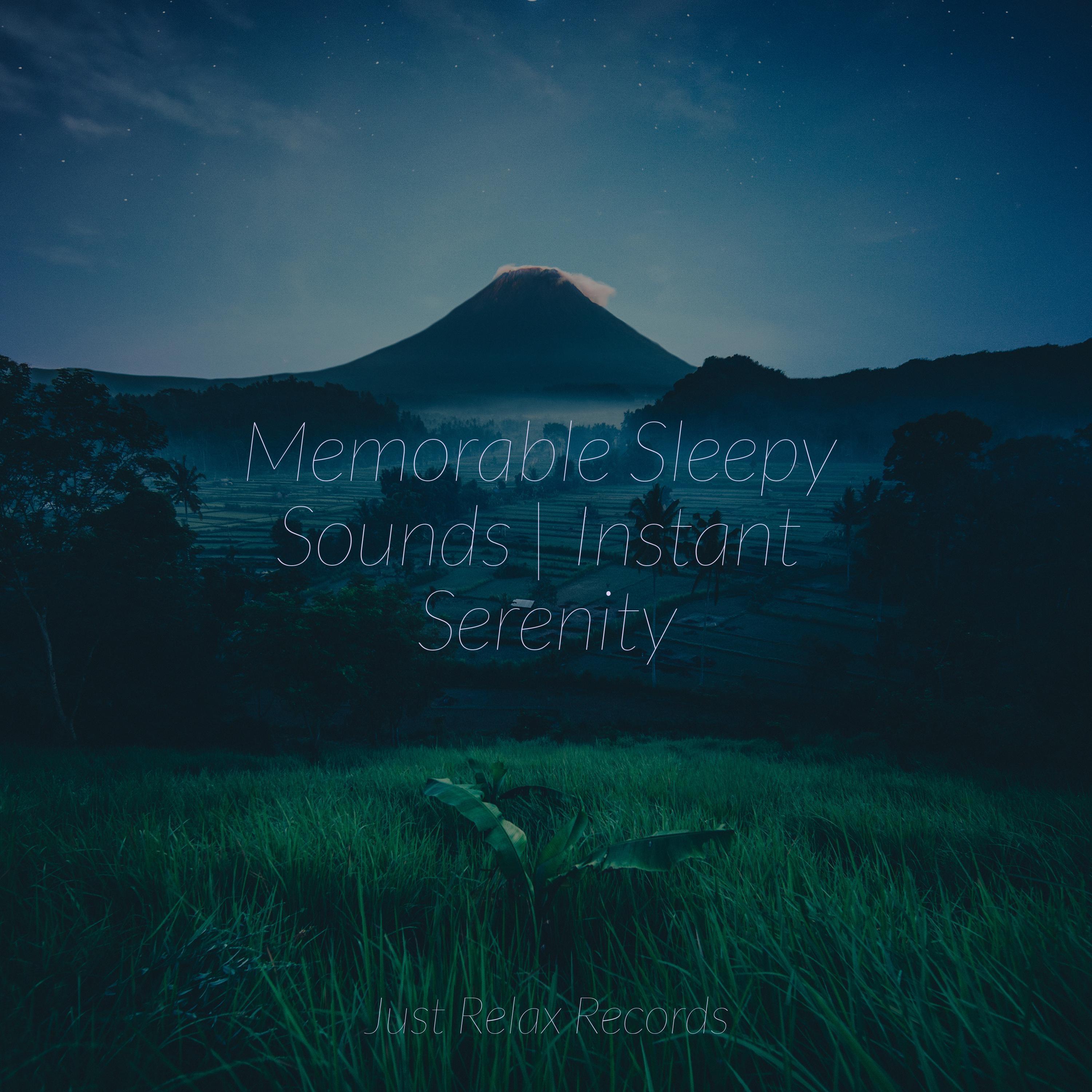 Memorable Sleepy Sounds | Instant Serenity - Relaxed Minds - 专辑 - 网易云音乐