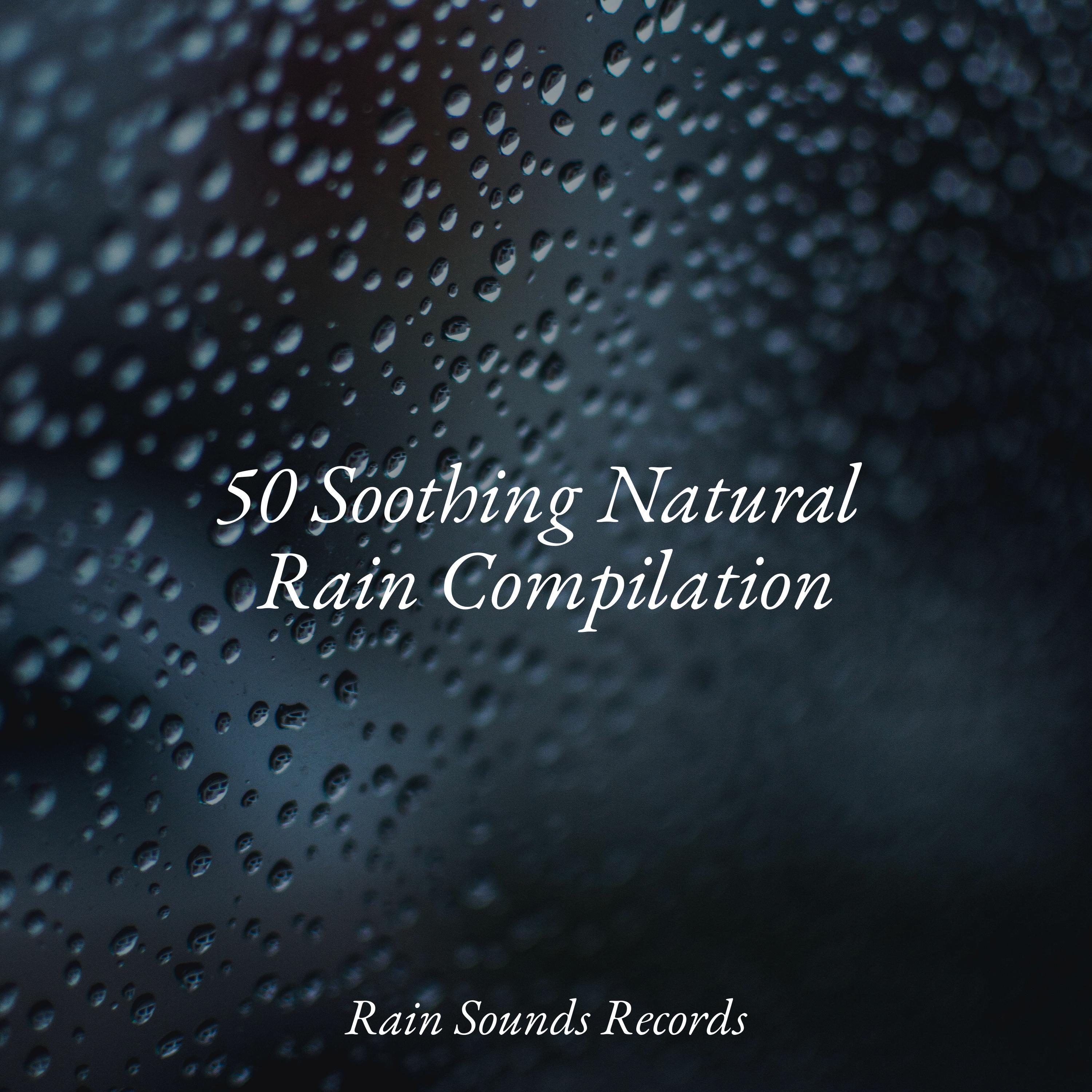 50 Soothing Natural Rain Compilation - Música para Bebés - 专辑 - 网易云音乐